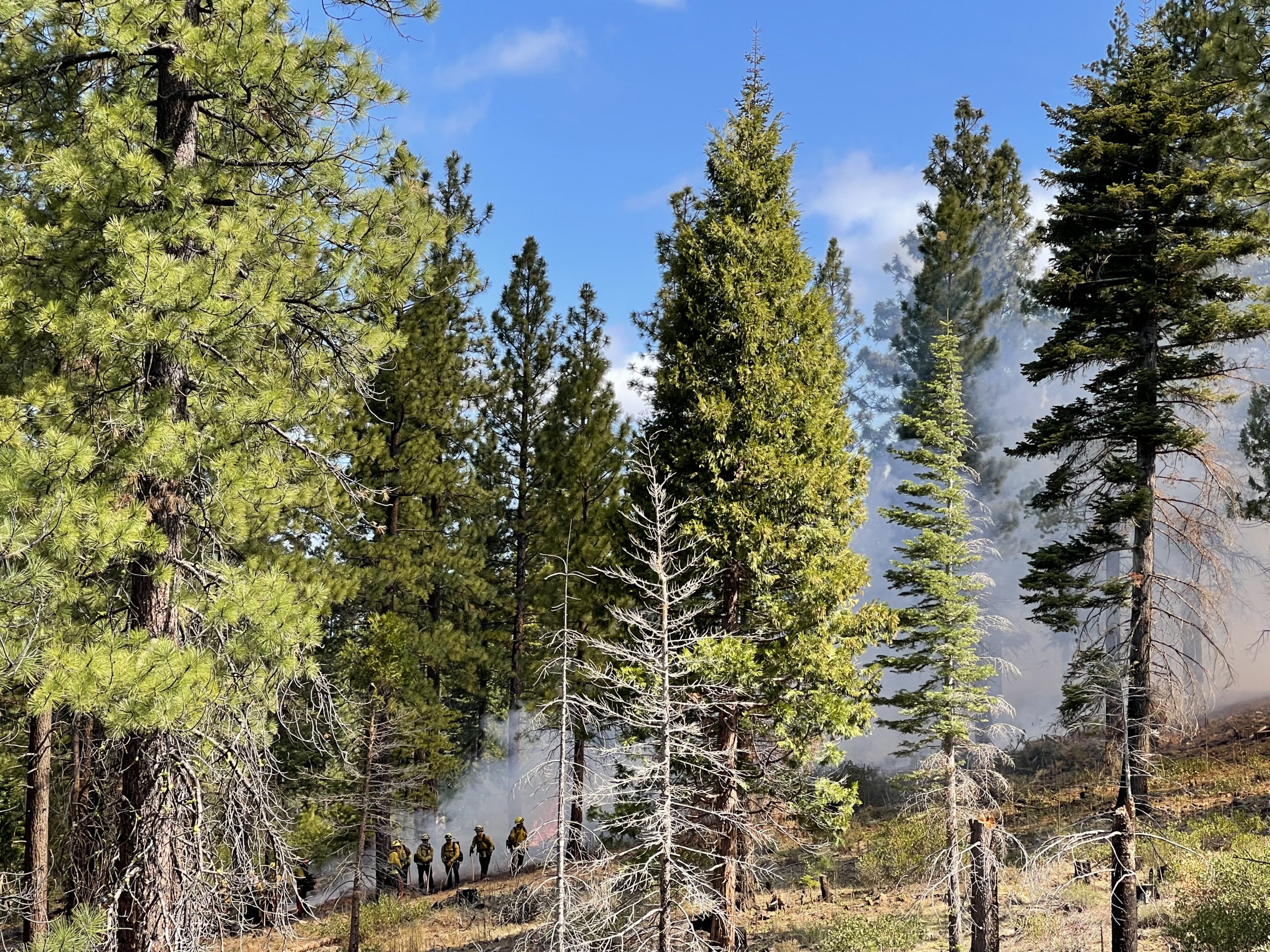 Hawks Project’s Crucial Role Amid the West’s Ongoing Wildfire Crisis ...