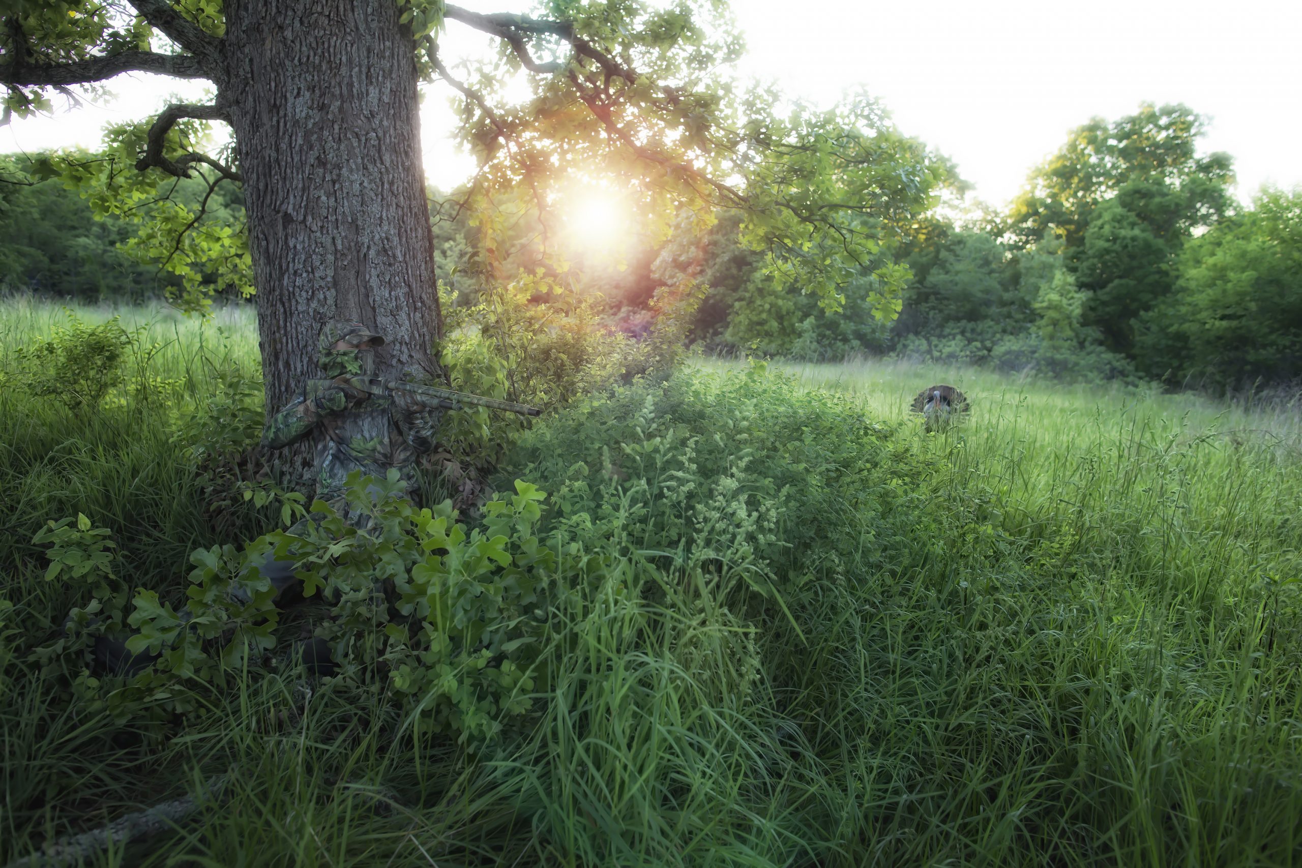 10 Commandments Of Public Land Turkey Hunting - The National Wild ...