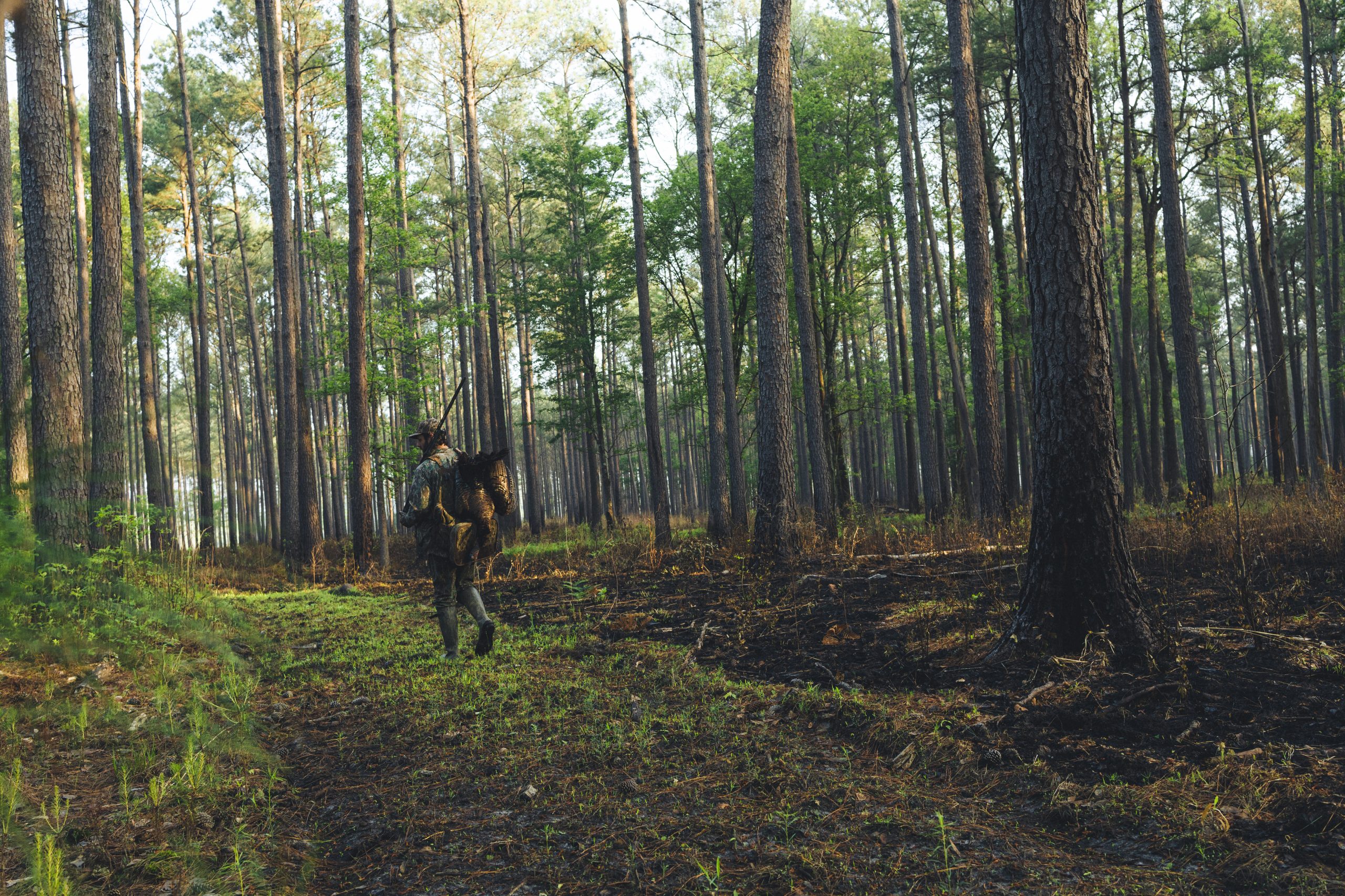 2024 NWTF Spring Hunt Guide - The National Wild Turkey Federation