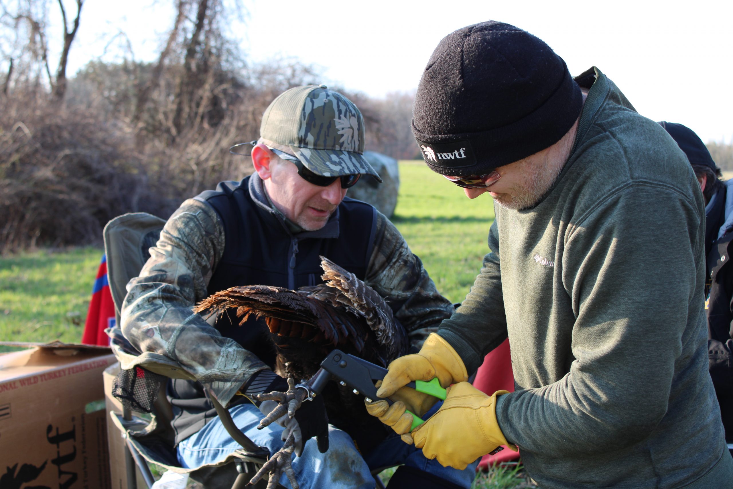 Pennsylvania State Chapter - The National Wild Turkey Federation