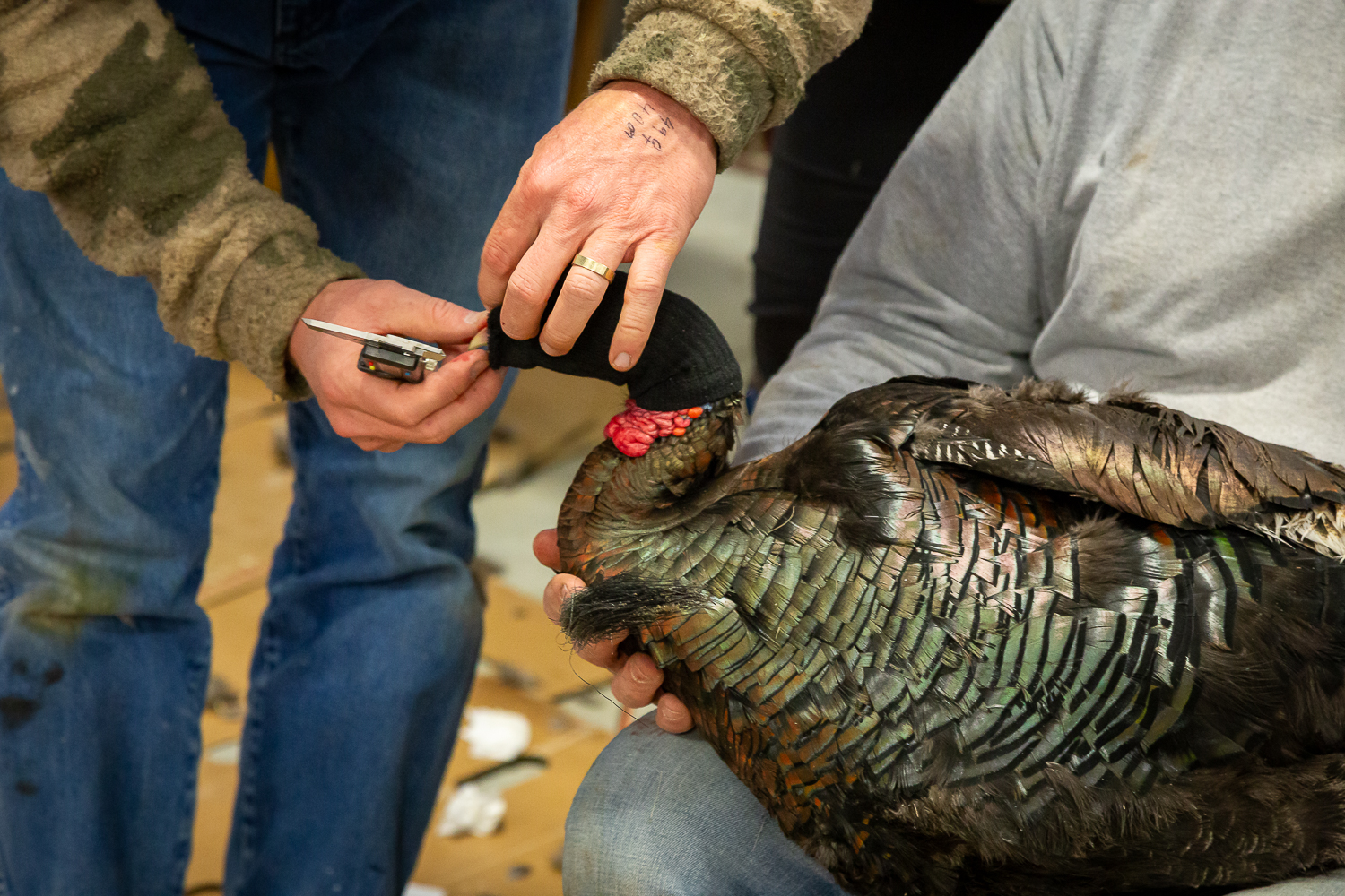 NWTF’s RFP Program: How it Works and What’s Next - The National Wild ...