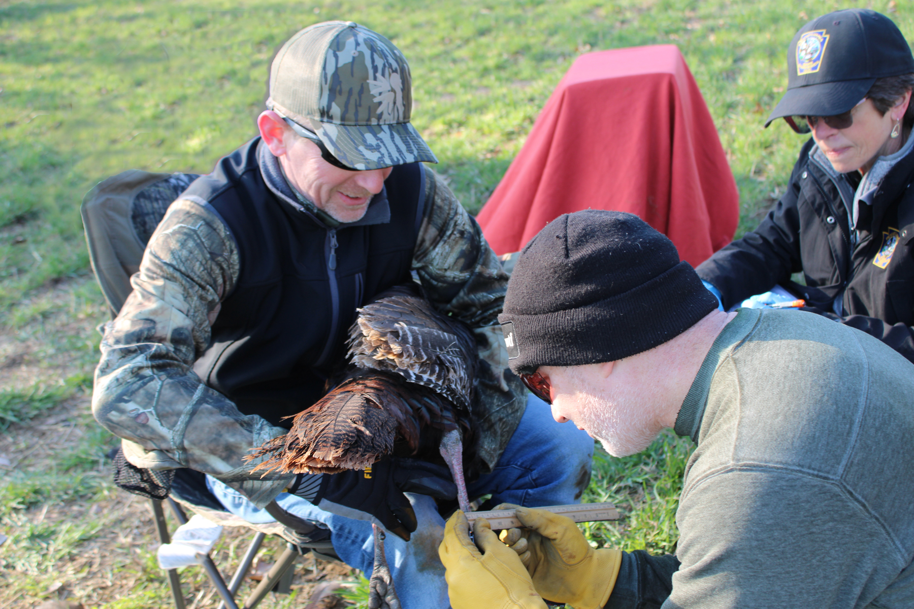The National Wild Turkey Federation - The National Wild Turkey Federation