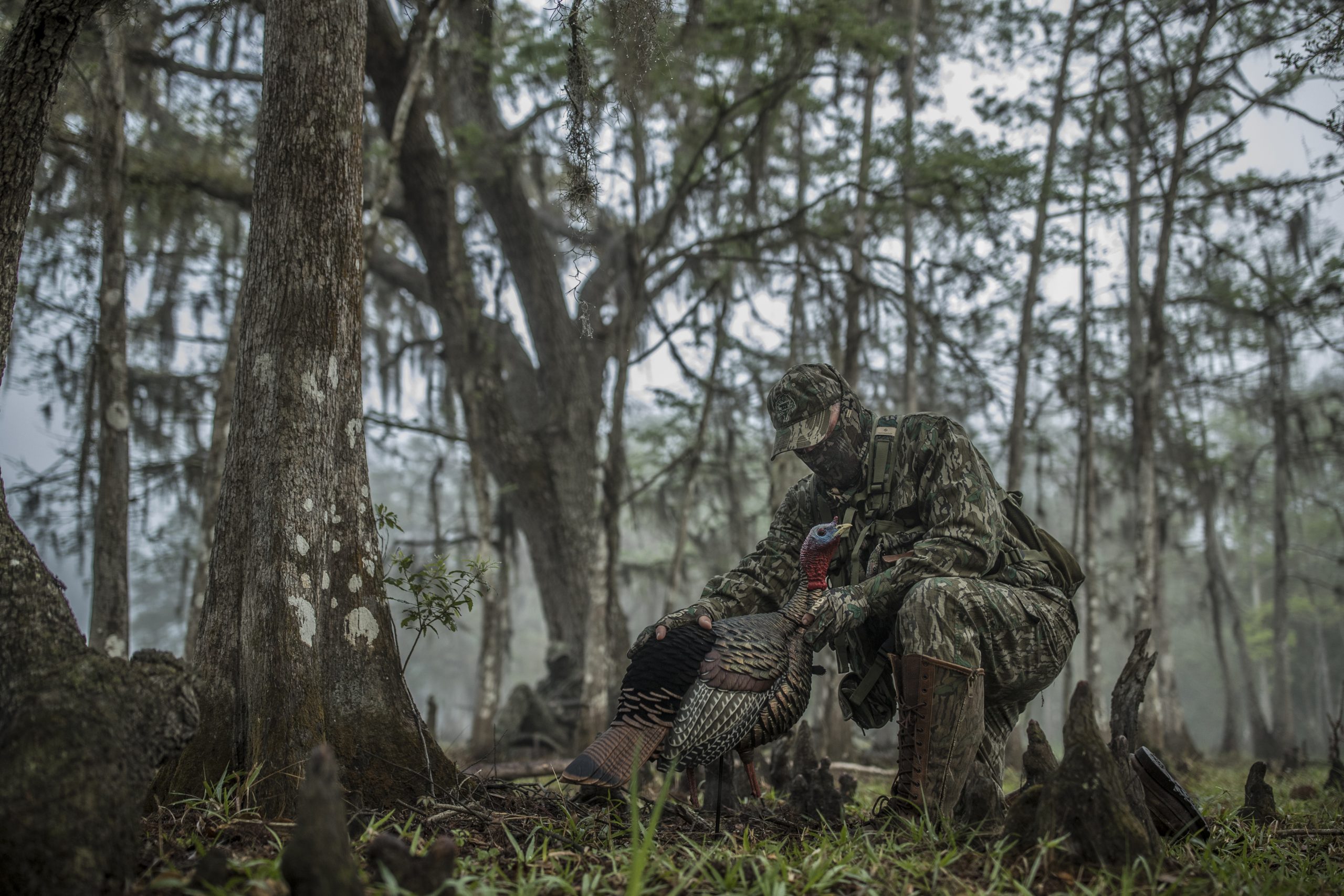 Decoying in Detail - The National Wild Turkey Federation