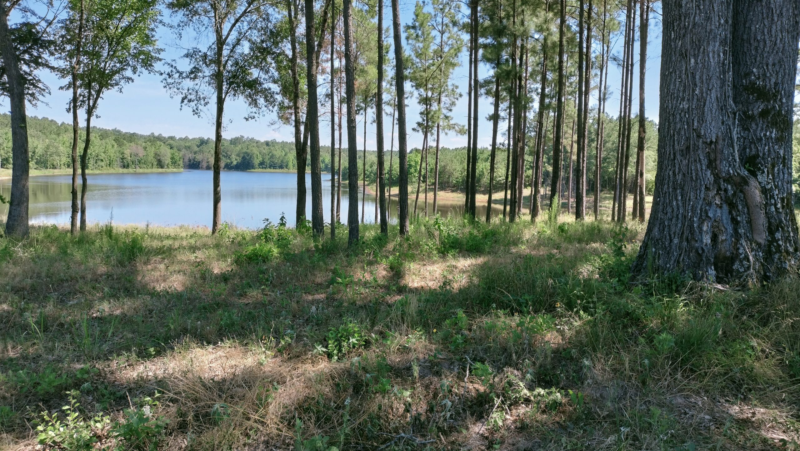 Super Stocking the Cupboard - The National Wild Turkey Federation