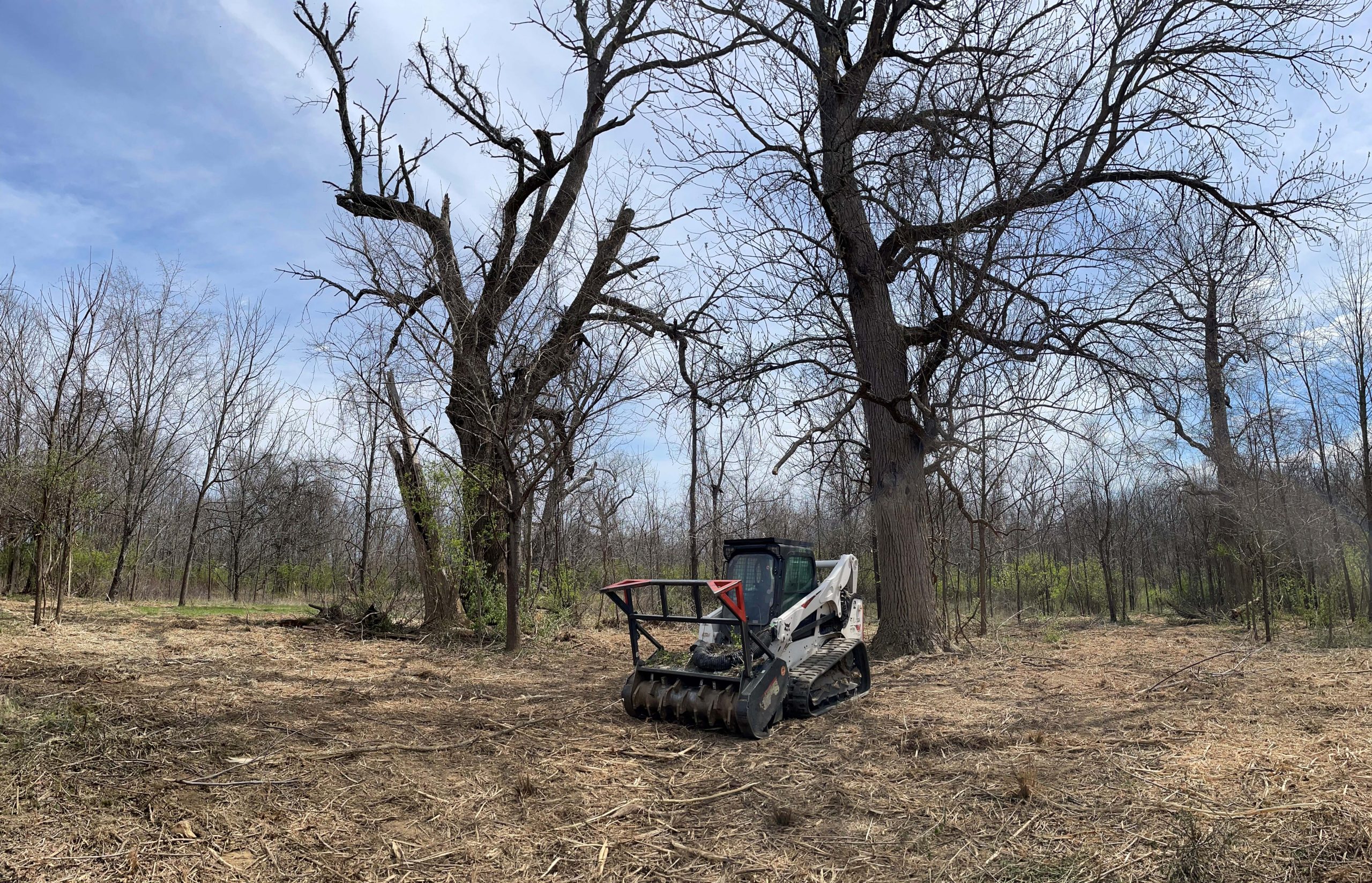 NWTF and KDFWR Boost Early Successional Habitat in the Bluegrass State ...