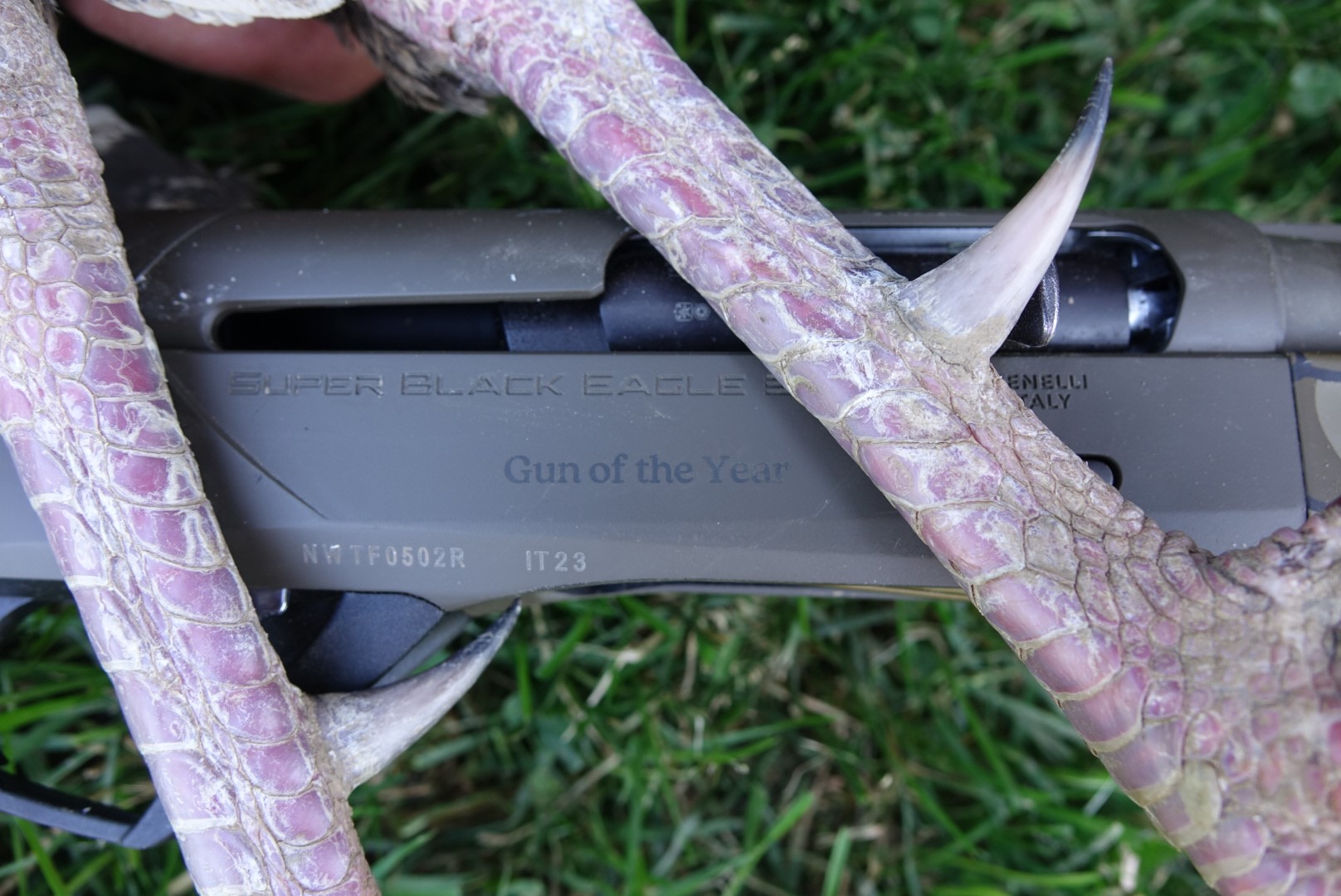 Memorable Hunts in Brown County: Celebrating Passion and Community ...