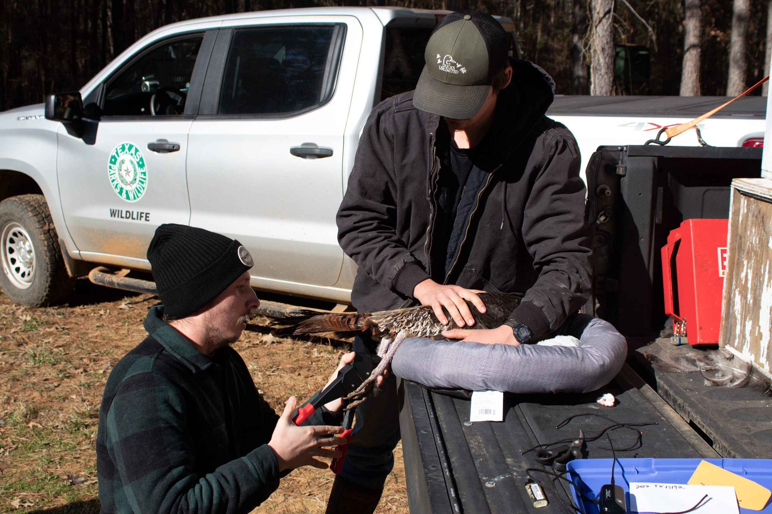 Managers of the Harvest - The National Wild Turkey Federation