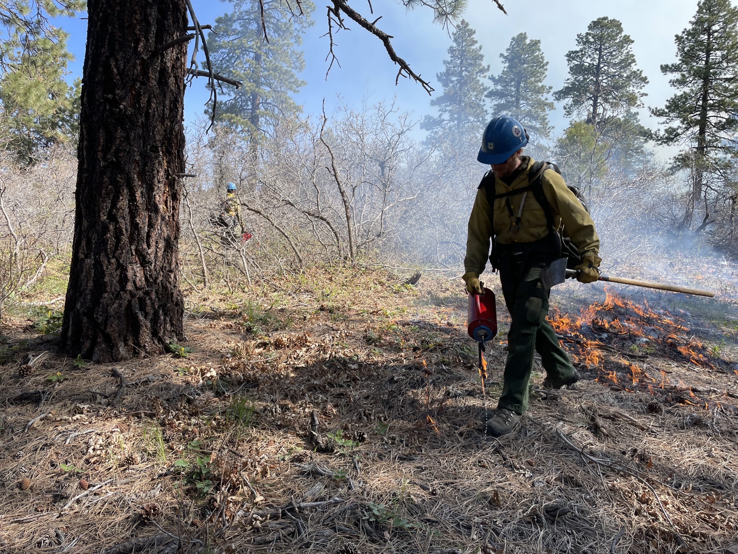 Natural Ignition Spurs Innovative Fire Management in San Juan National ...