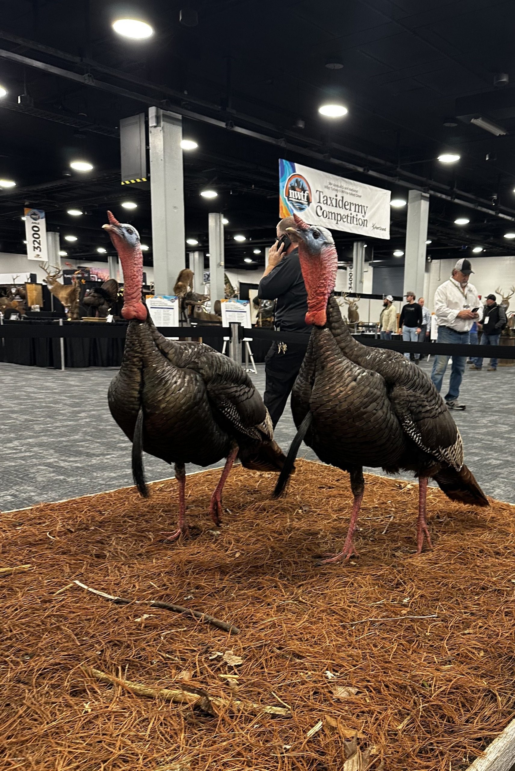 Turkey Call All Access Ep. 82 — Leslie Thompson, “Niche to Meet You ...