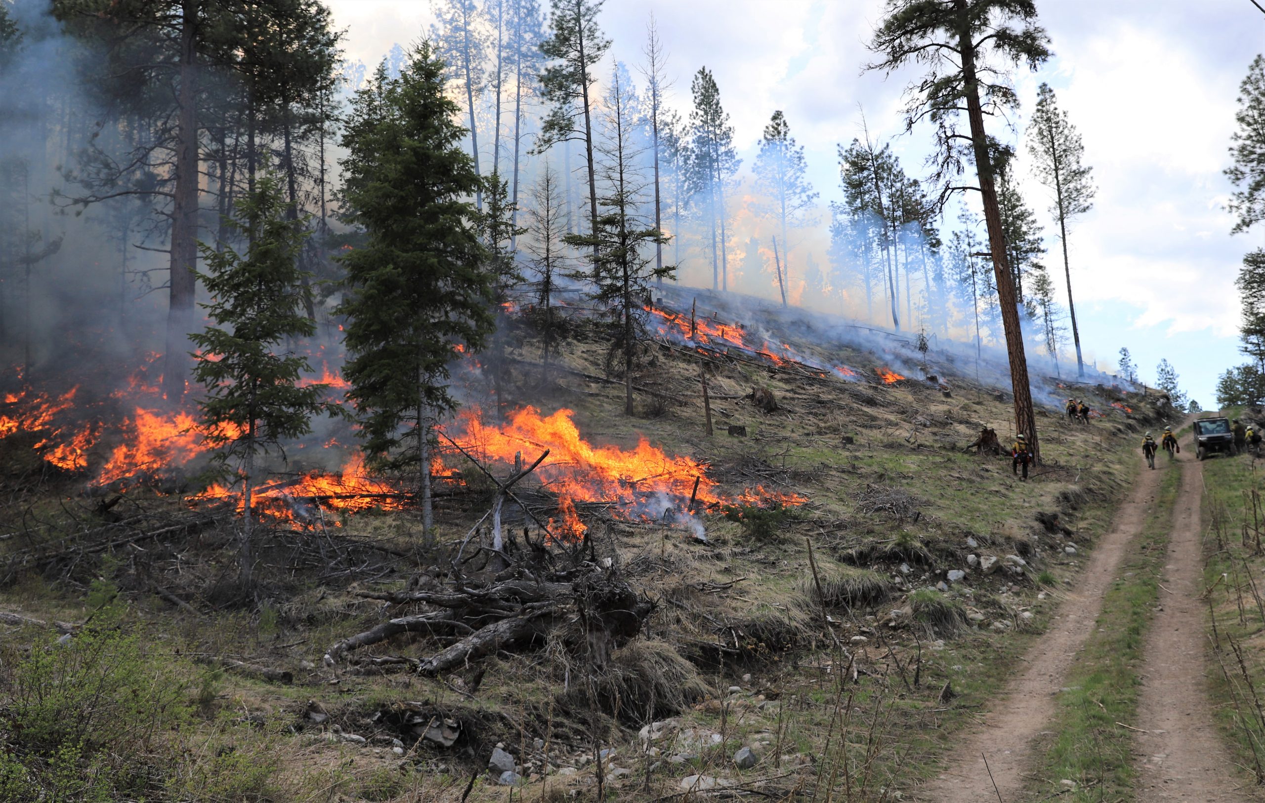 NWTF Wildfire Crisis Strategy Year One Report Now Available - The ...