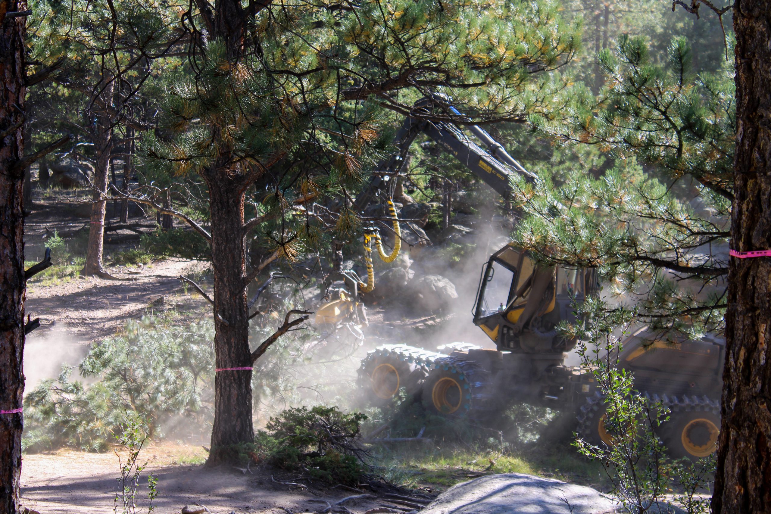 Legislators Push for Urgent Forest Restoration with the Fix Our Forests ...