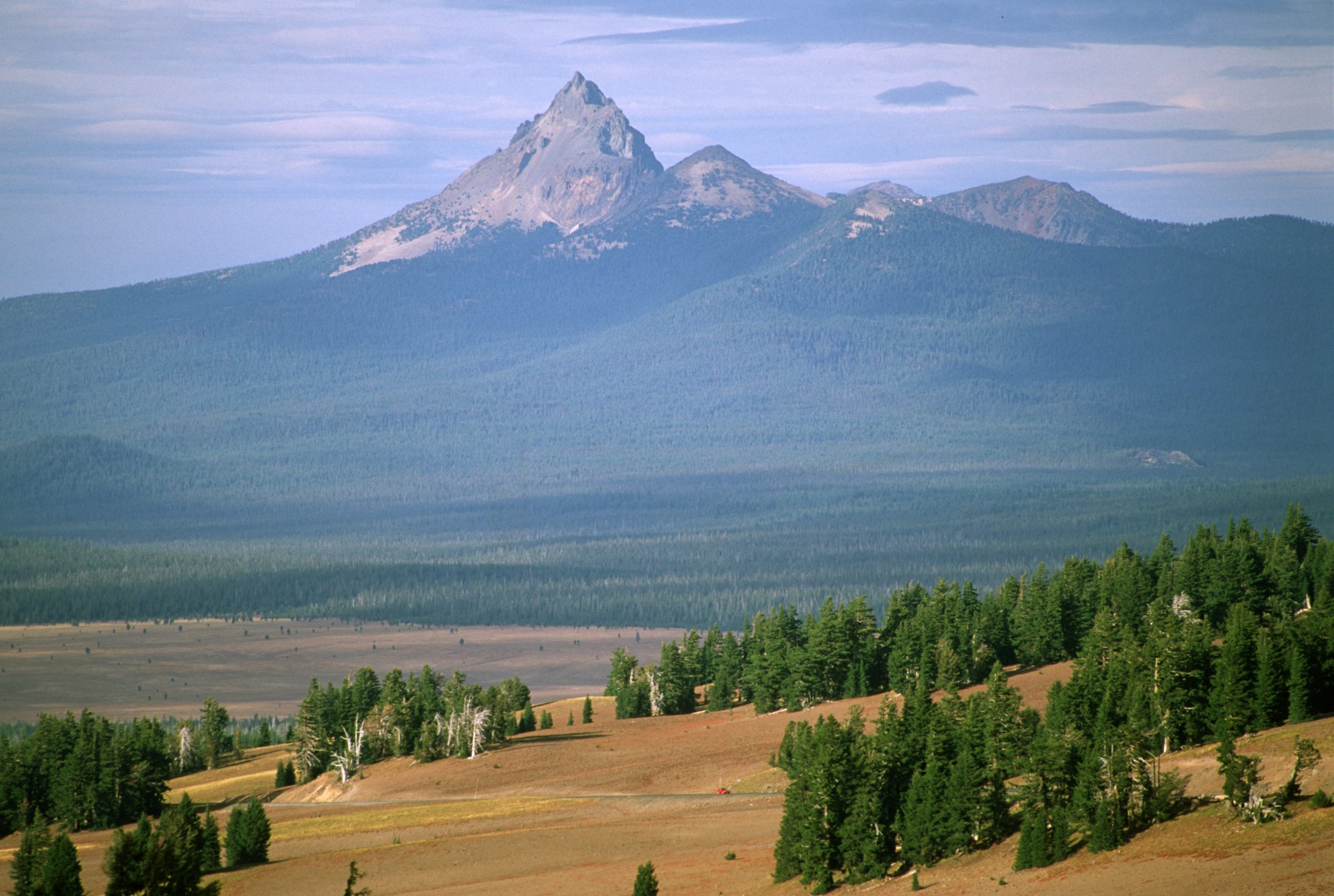 USDA Brings Cohesion to Wildlife Conservation on a Landscape Scale ...