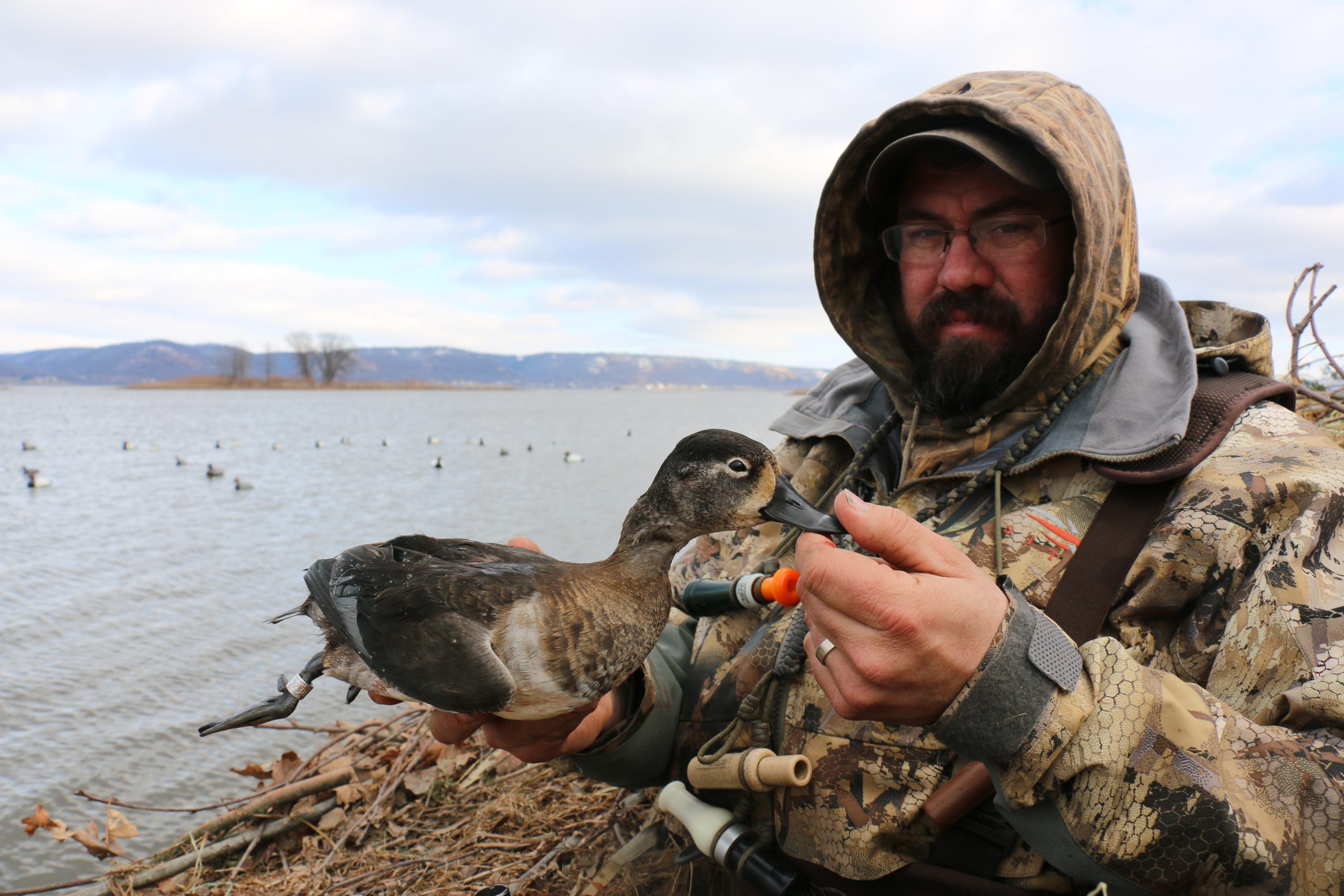 Waterfowl ID Tips: Know Your Ducks in Flight - The National Wild Turkey ...