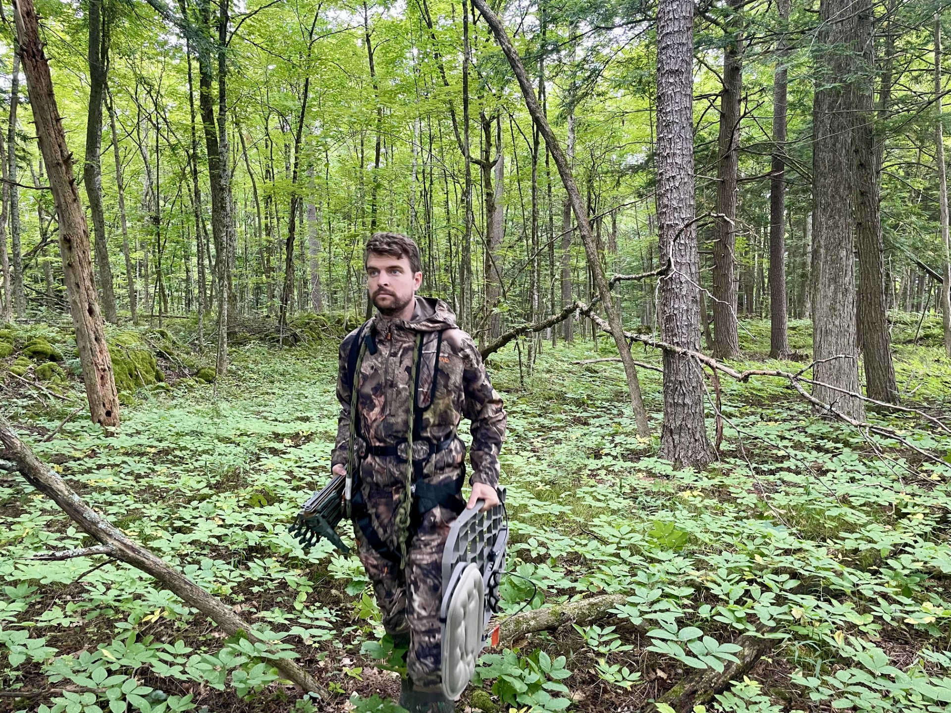 Tree Stand Safety - The National Wild Turkey Federation