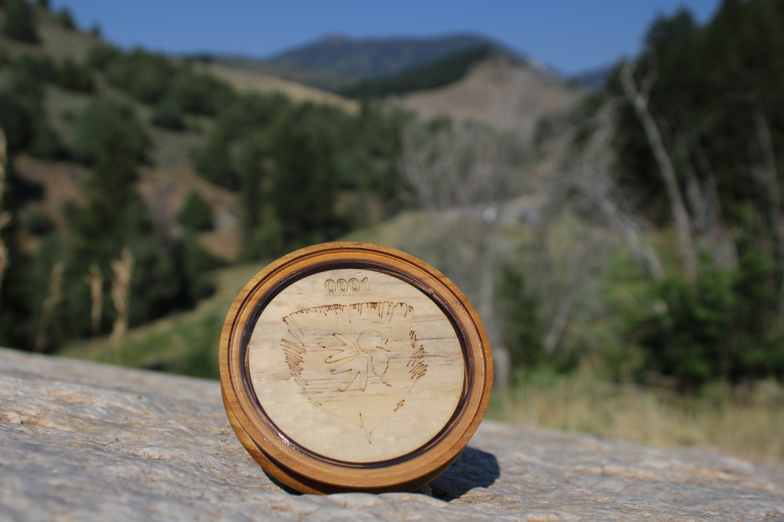 Conservation in a Call: Harnessing the Beauty of Blue-Stain Timber ...