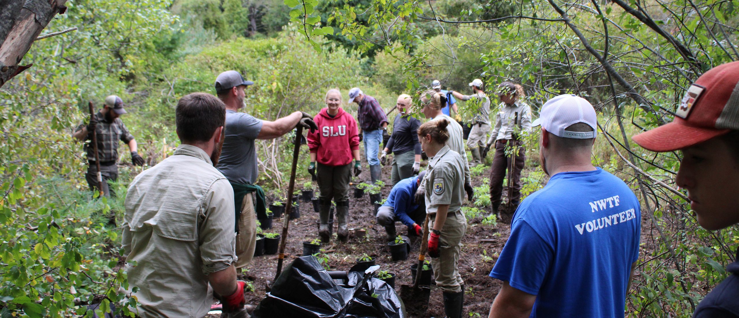 Considerations for Enhancing Northeastern Turkey Habitat - The National ...