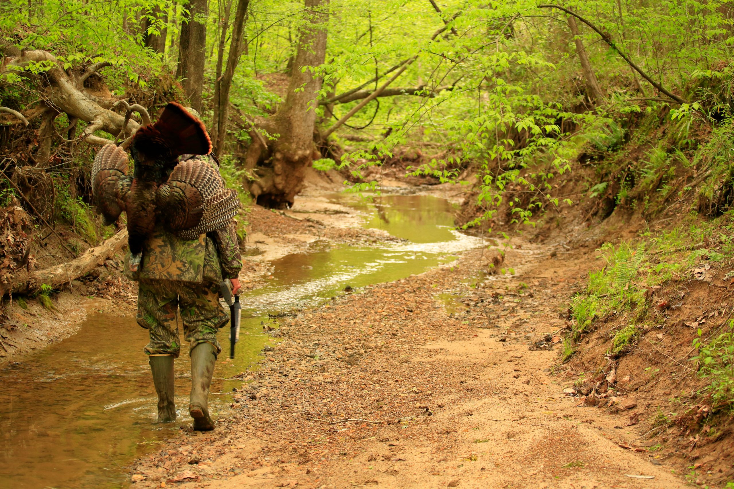 Let’s Take It Nice and Easy - The National Wild Turkey Federation