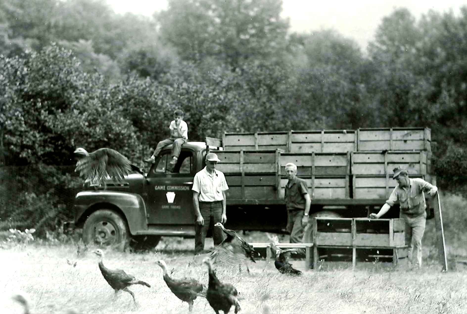 Pennsylvania NWTF Turns 50 - The National Wild Turkey Federation