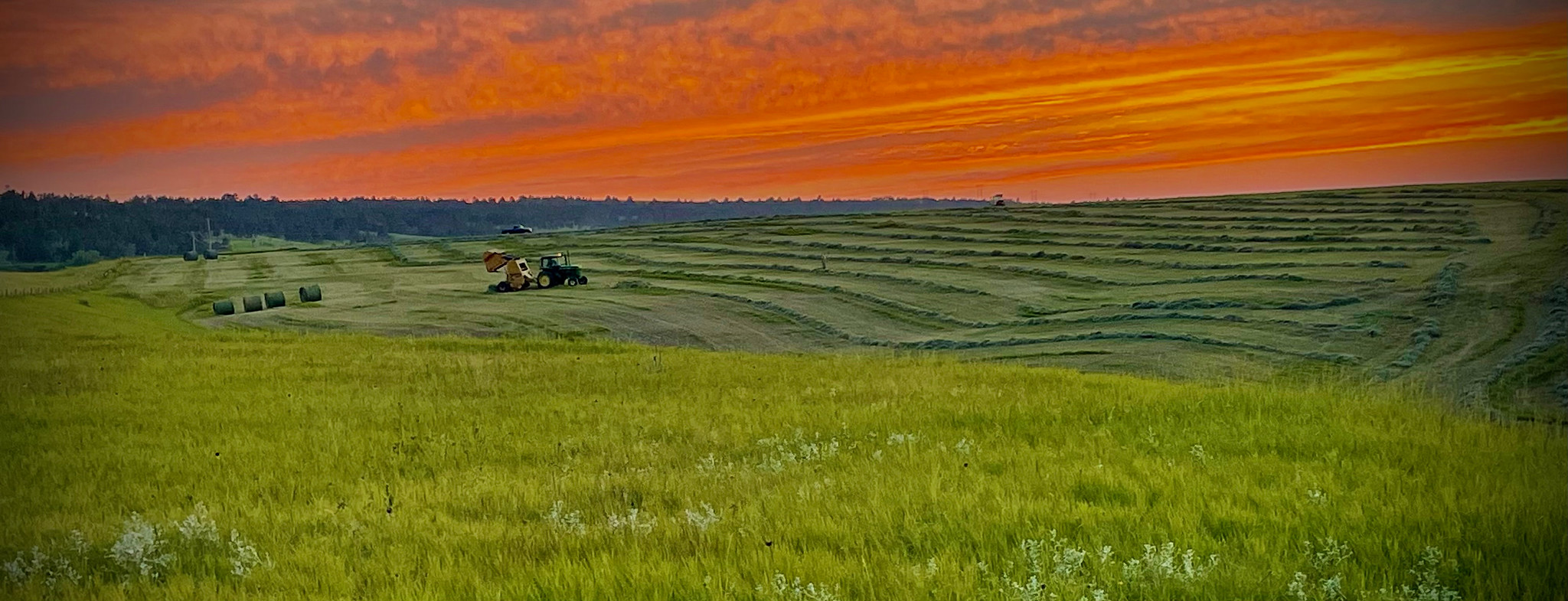 NWTF Supports Key USDA Appointments - The National Wild Turkey Federation