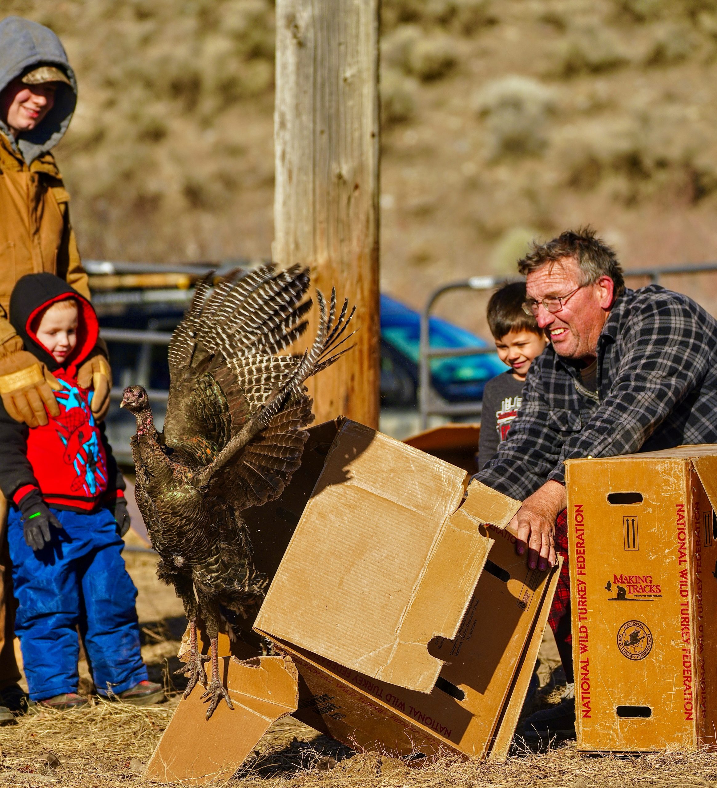NWTF and Idaho Fish and Game Partner to Relocate Wild Turkeys ...