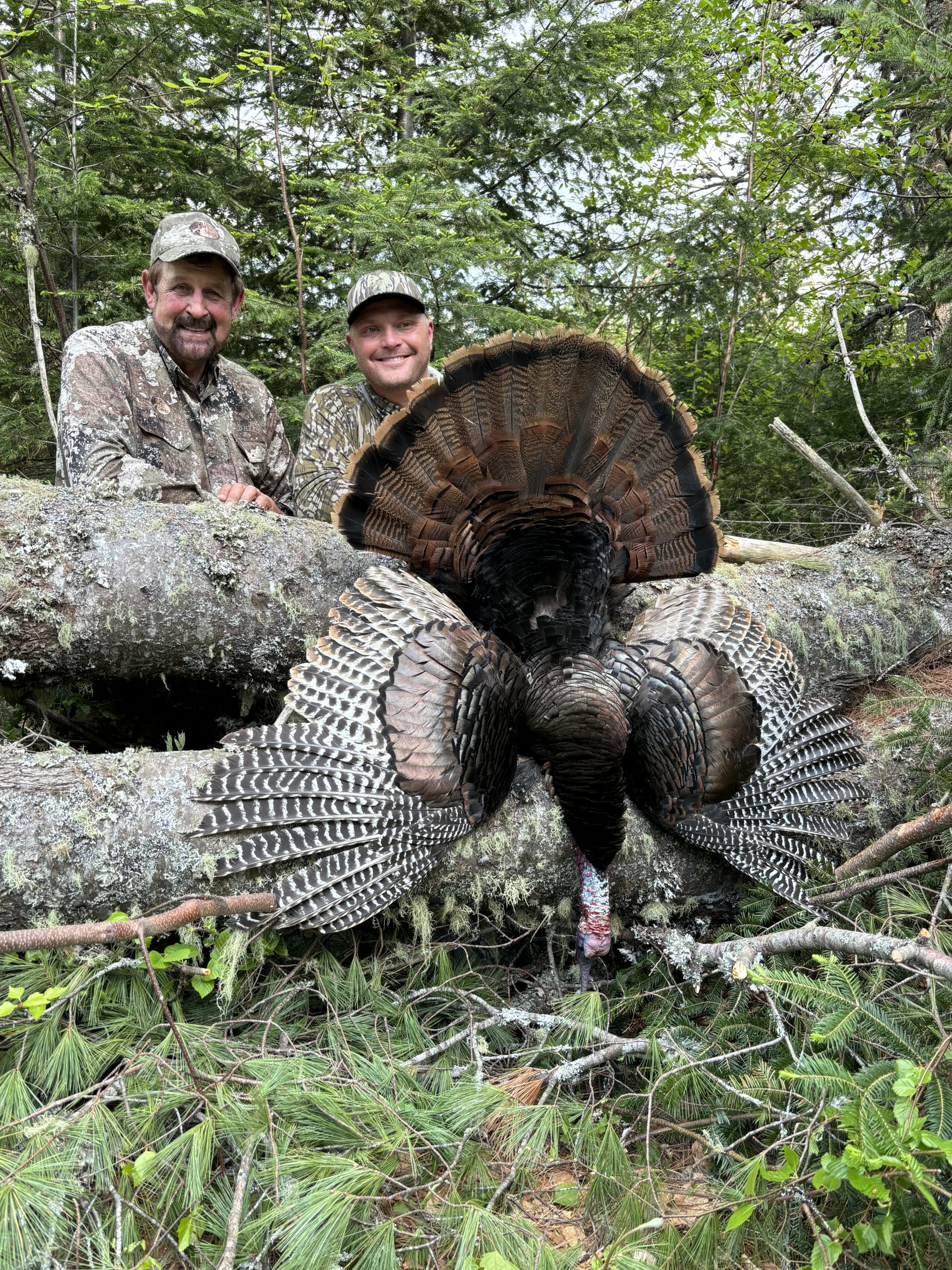 North America’s Newest Turkey Season - The National Wild Turkey Federation