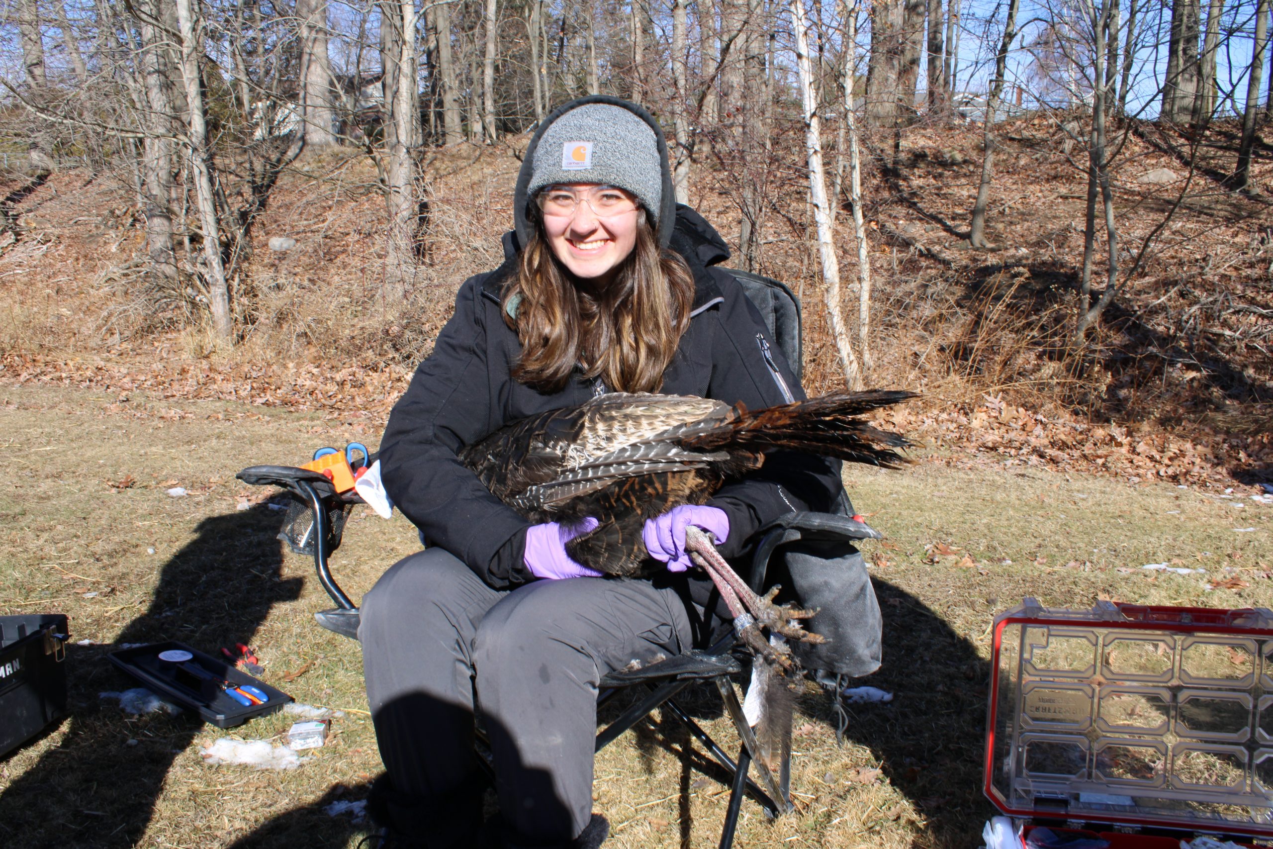 Trapping Turkeys with PGC - The National Wild Turkey Federation