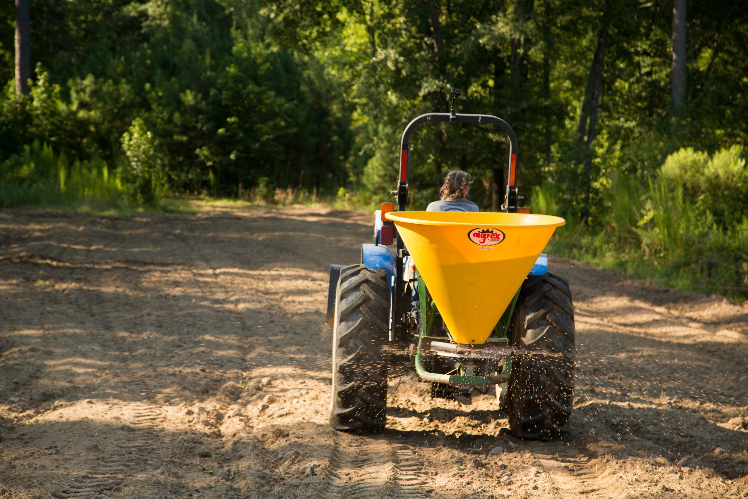 Reimagine Food Plots for Year-Round Effect - The National Wild Turkey ...