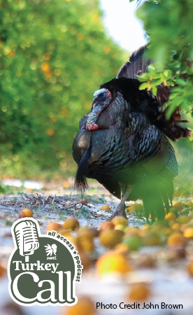 South Carolina State - The National Wild Turkey Federation