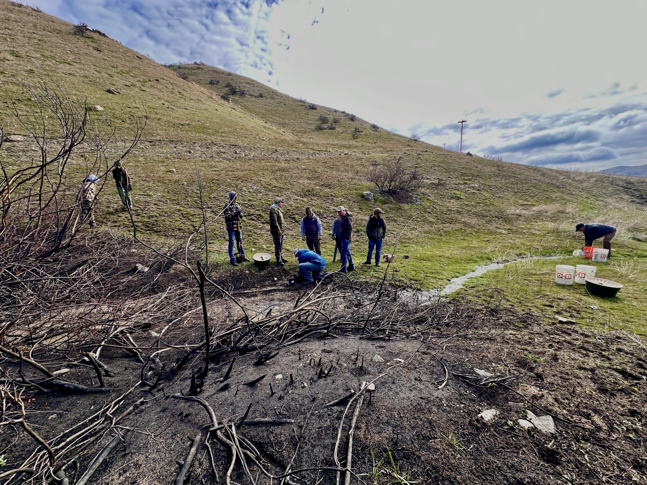 Idaho NWTF and IDFG Join Forces to Revive Vital Habitat After ...