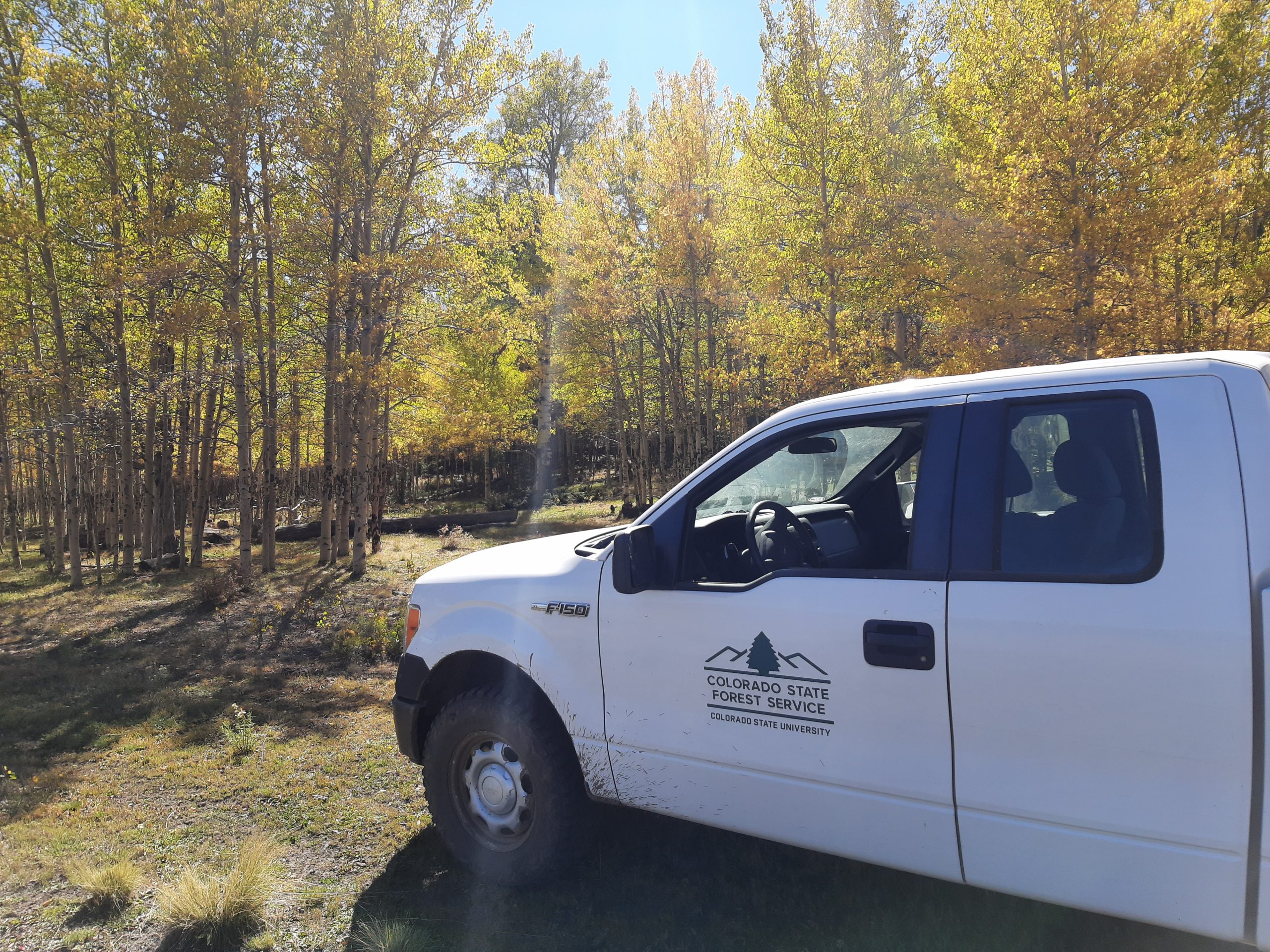NWTF Congratulates Colorado State Forest Service for 70 Years of ...