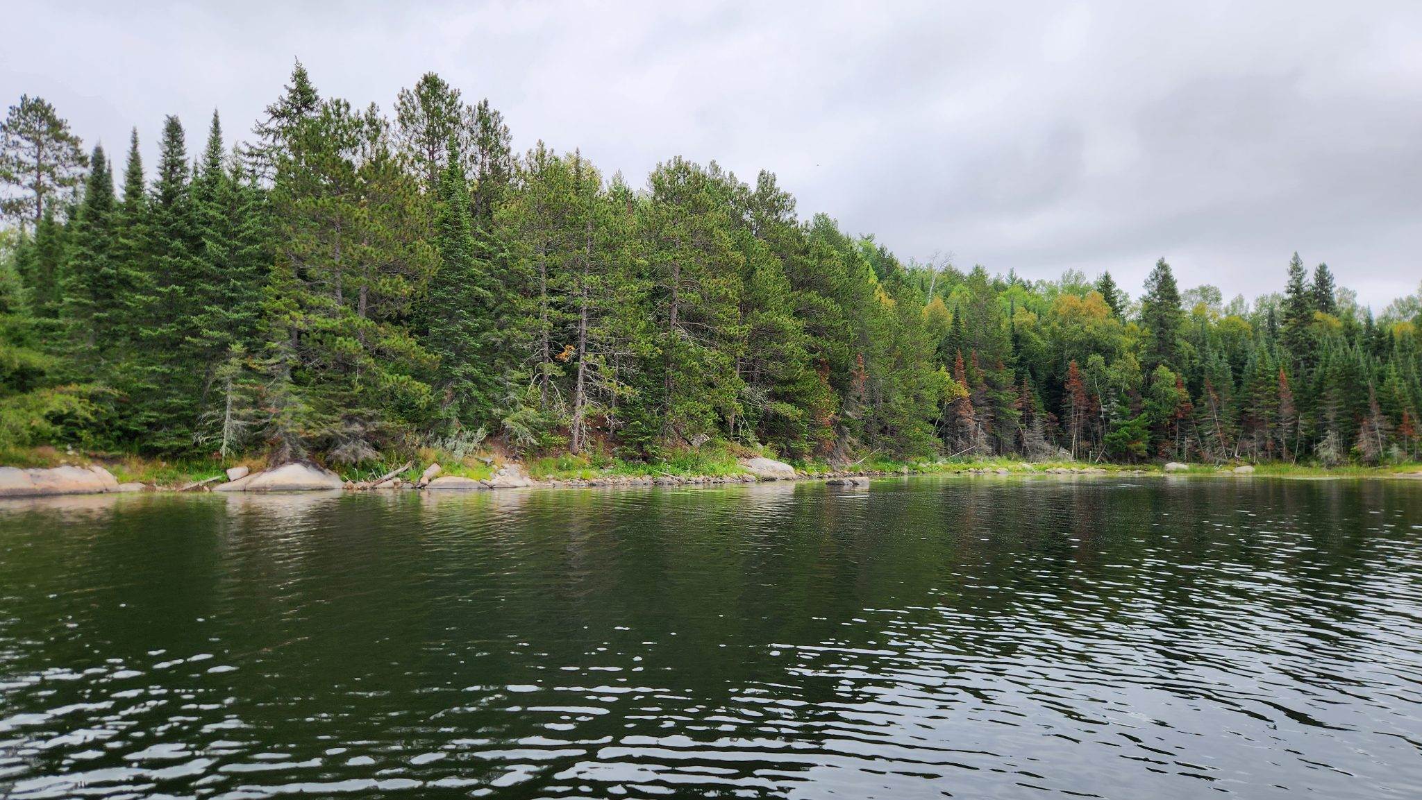 NWTF Supports Landmark Conservation Project in Minnesota to Protect the Mississippi River’s ...