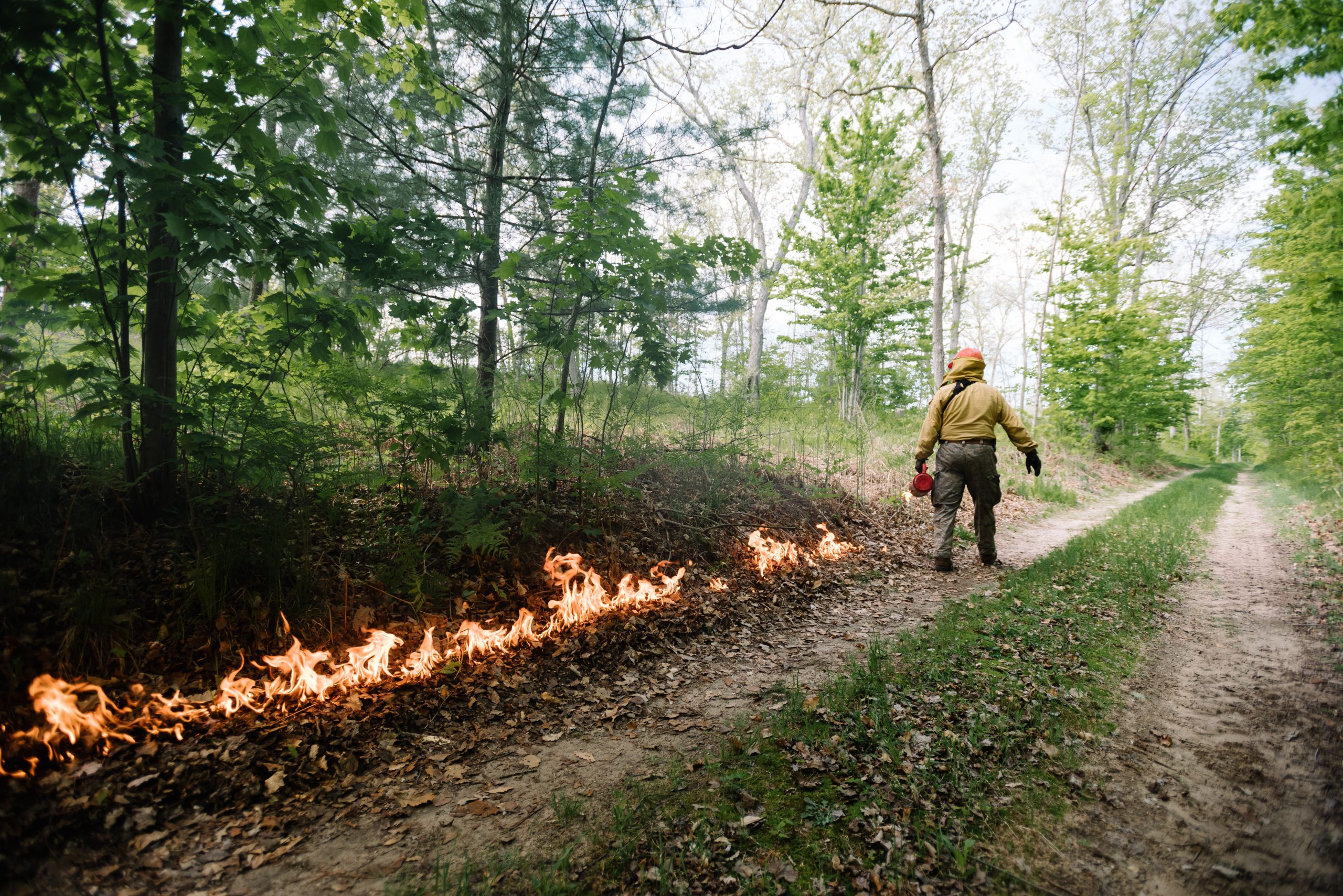 New Indiana House Bill Promotes Prescribed Fire for Conservation - The ...
