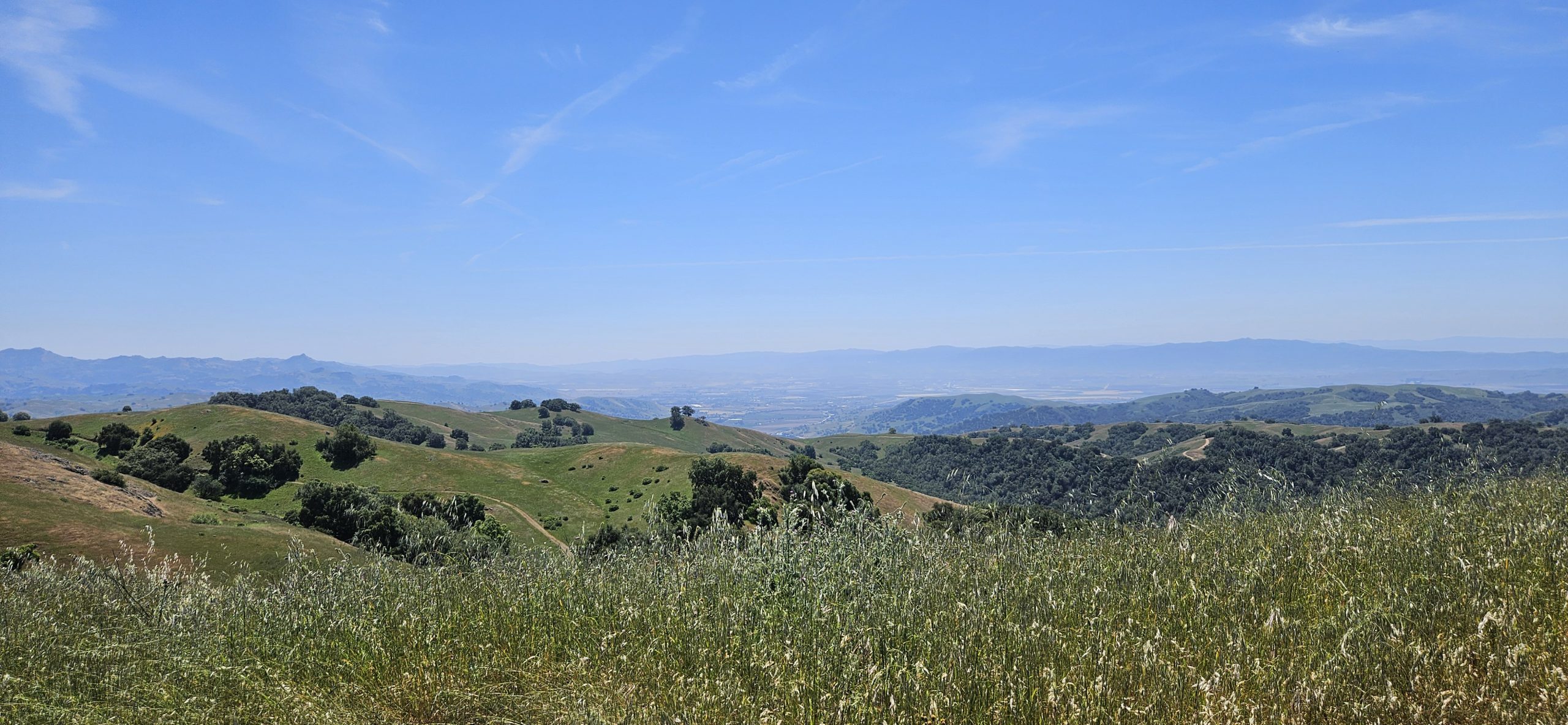 NWTF California State Chapter Helps Provide Water for Wildlife on ...