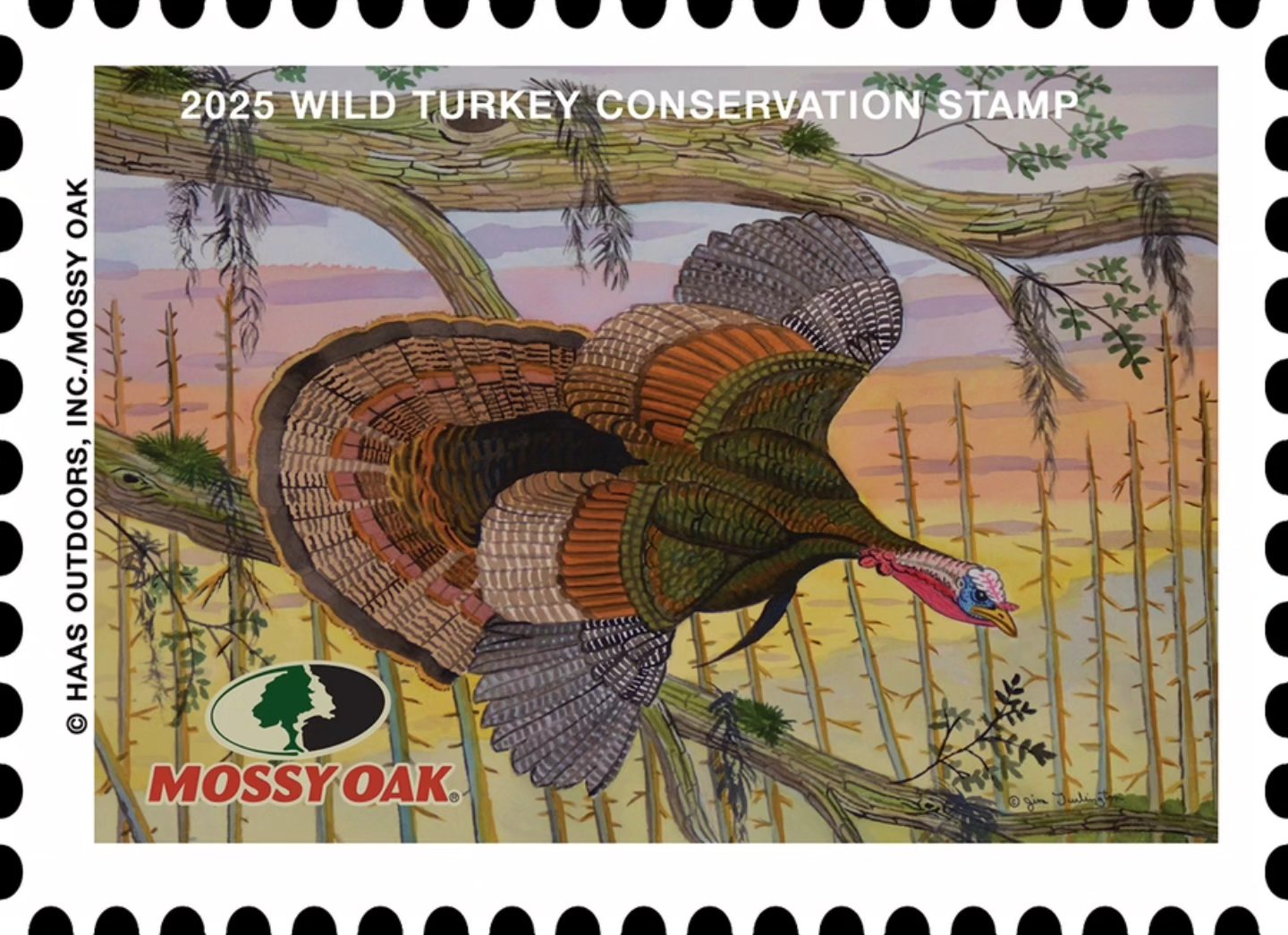 Off the Roost: A Love Letter to the Wild Turkey - The National Wild ...