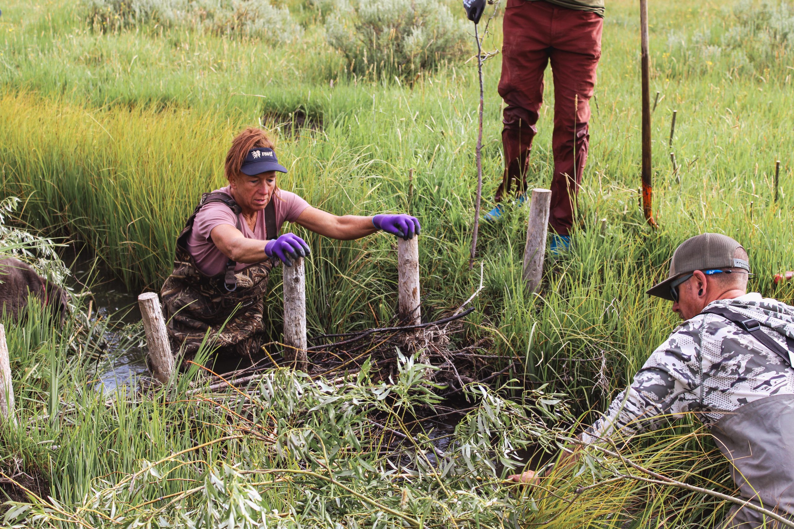 All Hands, All Brands Unites Conservationists in Oregon’s Ochoco ...