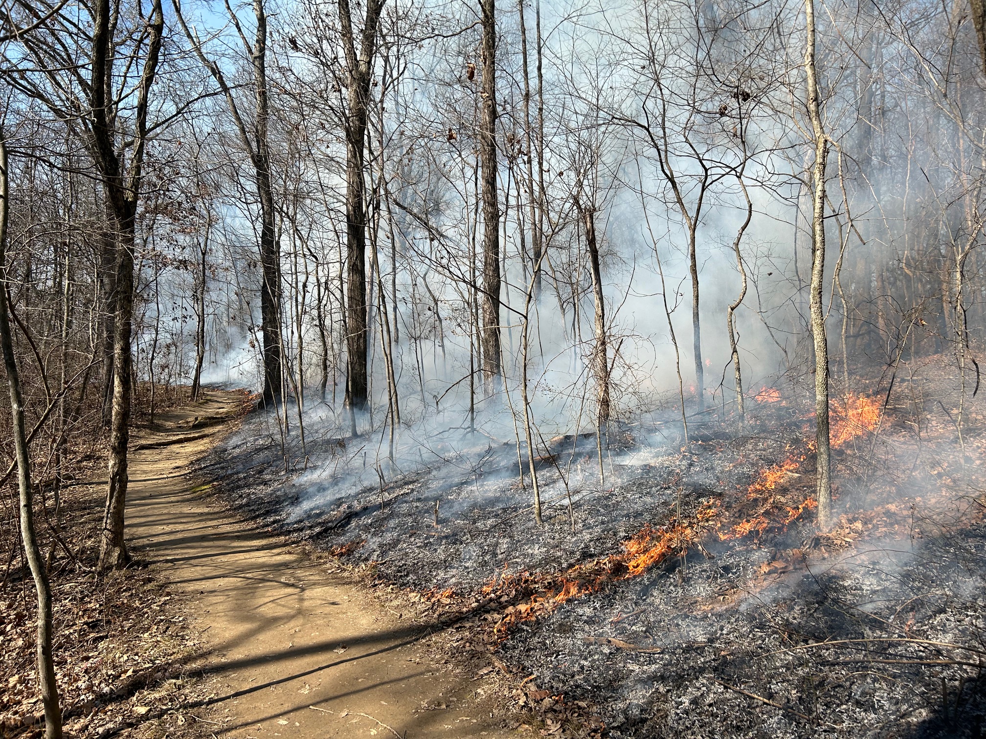 Iowa NWTF Chapter Boosts Habitat Management with Equipment Grant to ...