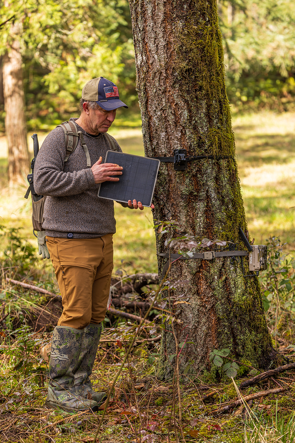 Year-Round Trail Cameras - The National Wild Turkey Federation