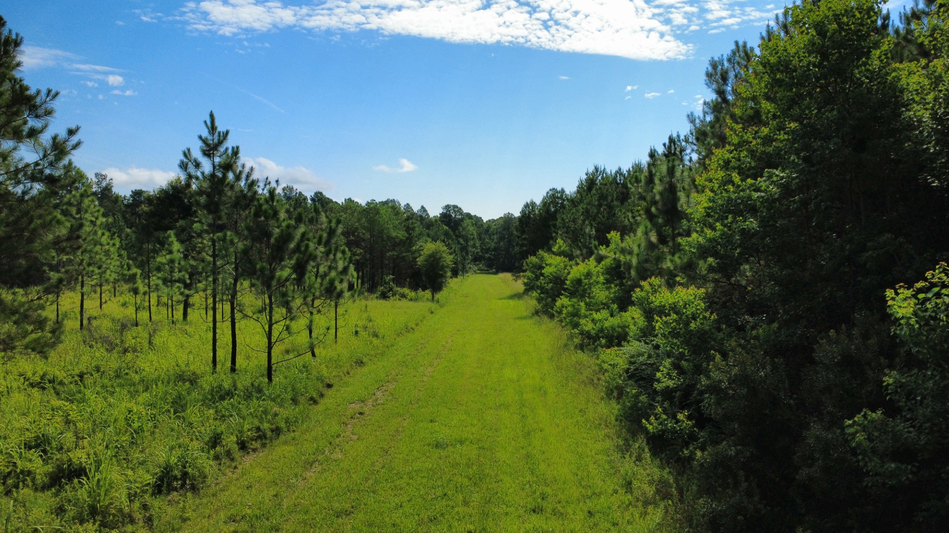 Educate and Inspire: NWTF Louisiana Hosts Conservation Field Days to ...