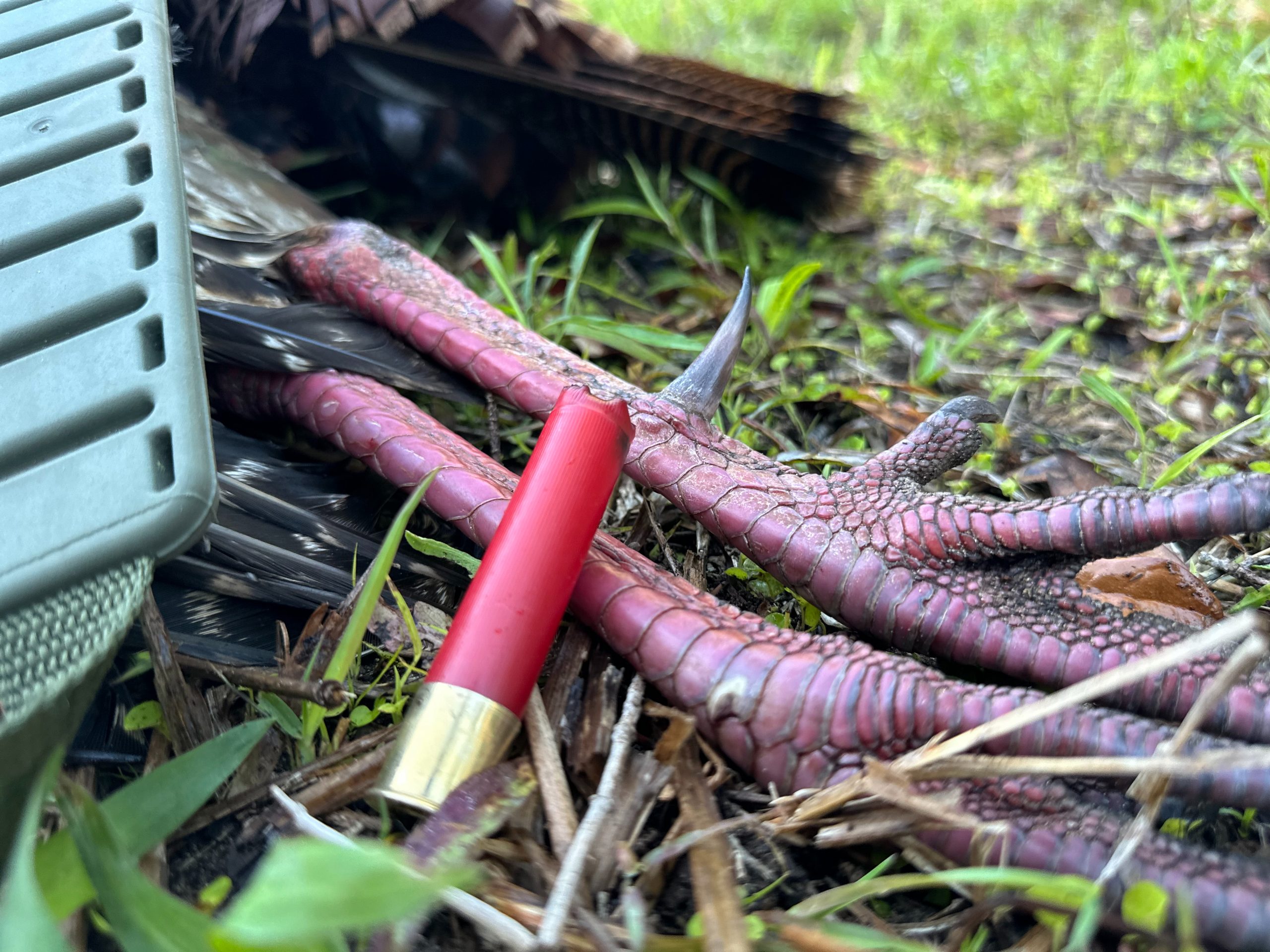 NWTF Partners with Wyoming Game and Fish Department to Support Spring ...