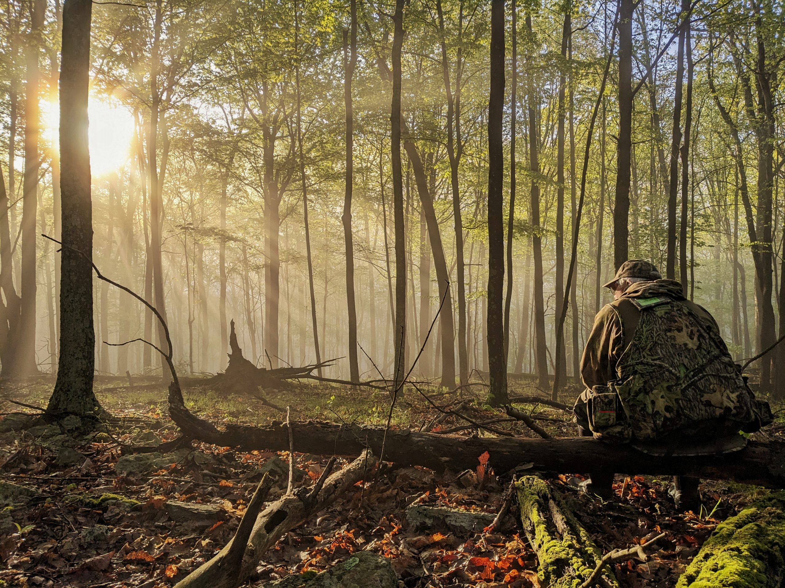 Turkey Hunting in the Southeast - The National Wild Turkey Federation