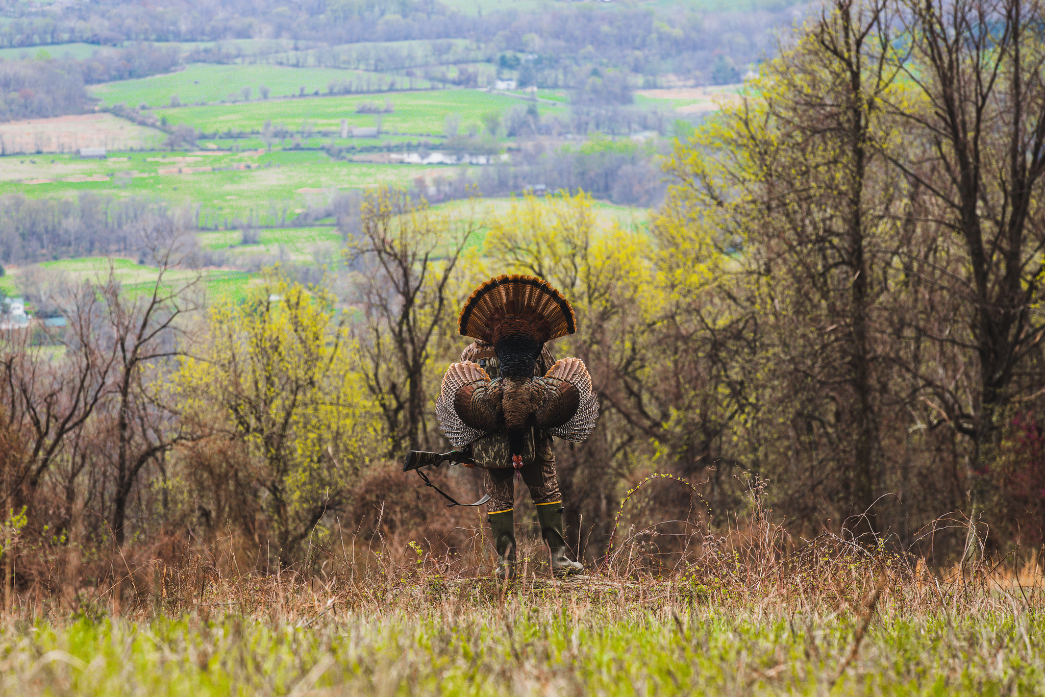 Spring Turkey Hunting in the Northeast - The National Wild Turkey ...