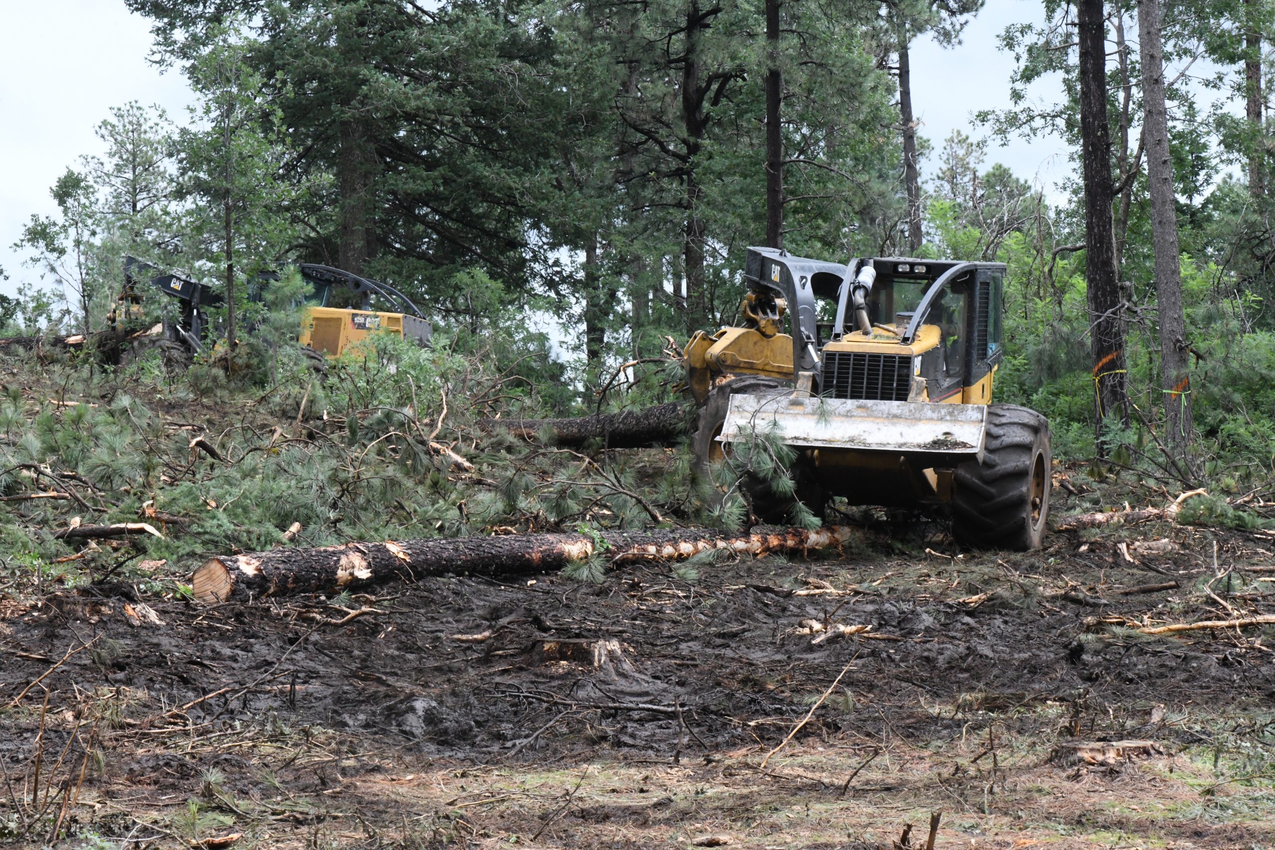 Working Where There Are No Turkeys - The National Wild Turkey Federation
