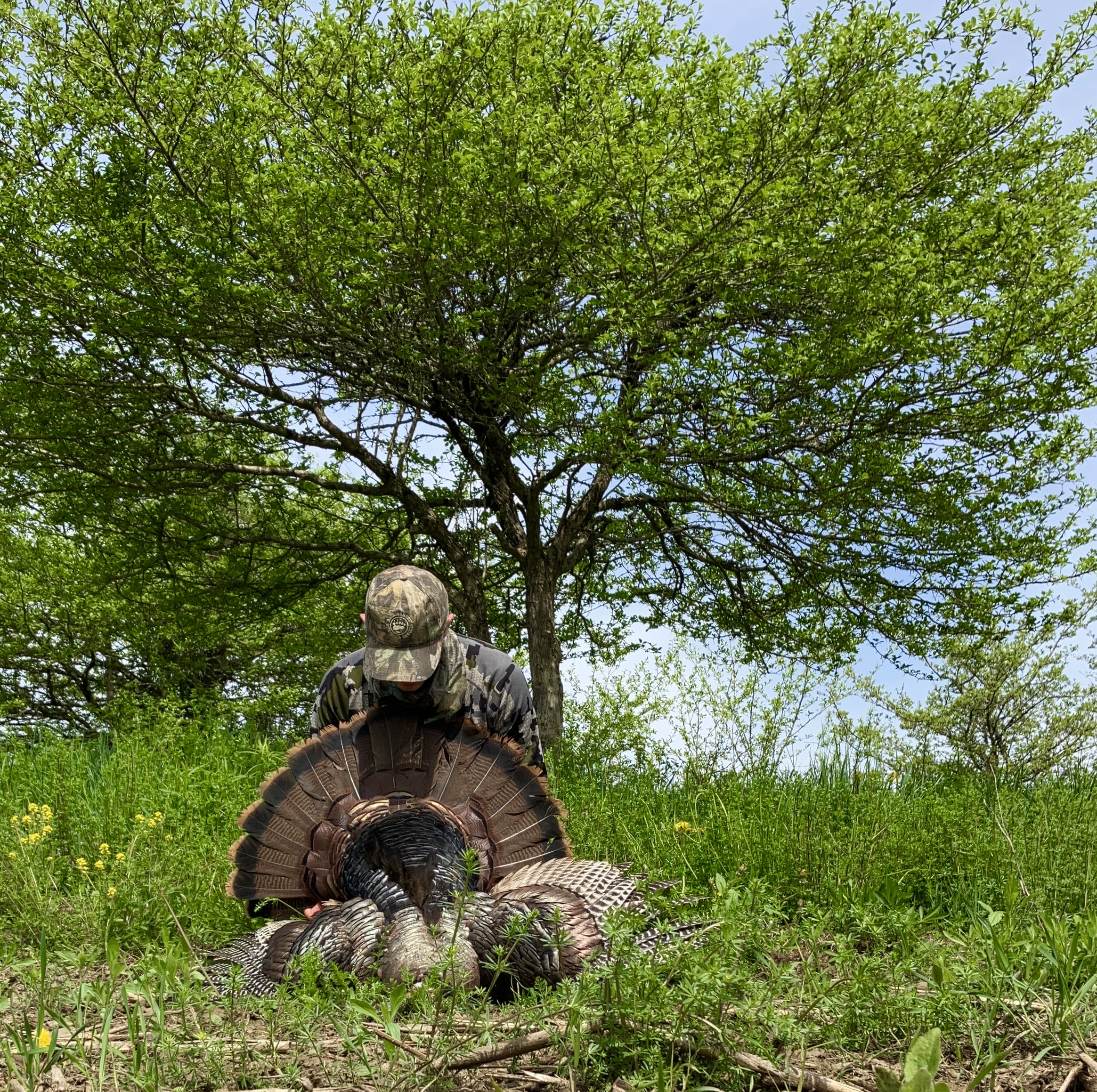 A Story in Words and Wood - The National Wild Turkey Federation