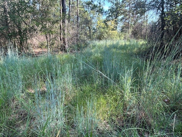 A Landowner’s Success in Creating Habitat for the Hatch - The National ...