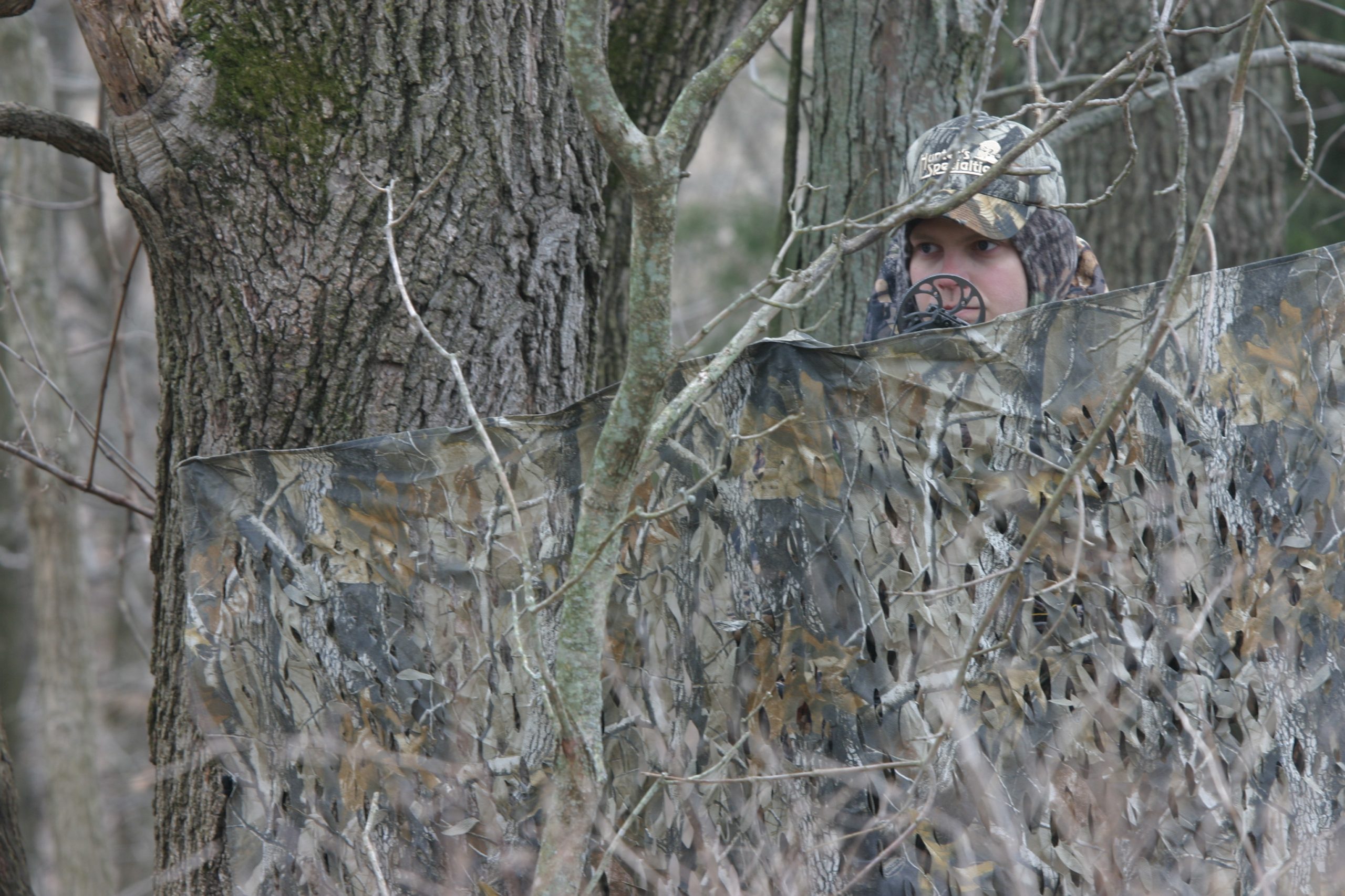 DIY: Make Your Tree Stand Disappear - The National Wild Turkey Federation