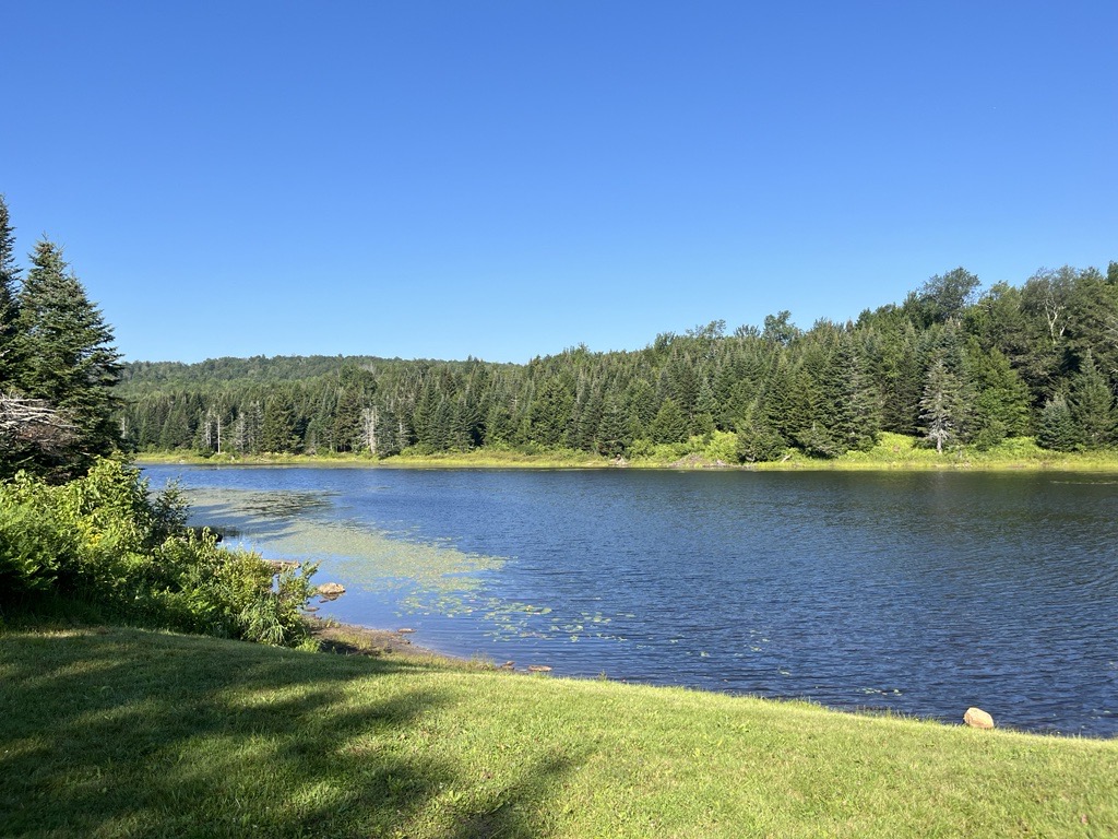 NWTF Massachusetts Continues to Invest in Dynamic Forests - The ...