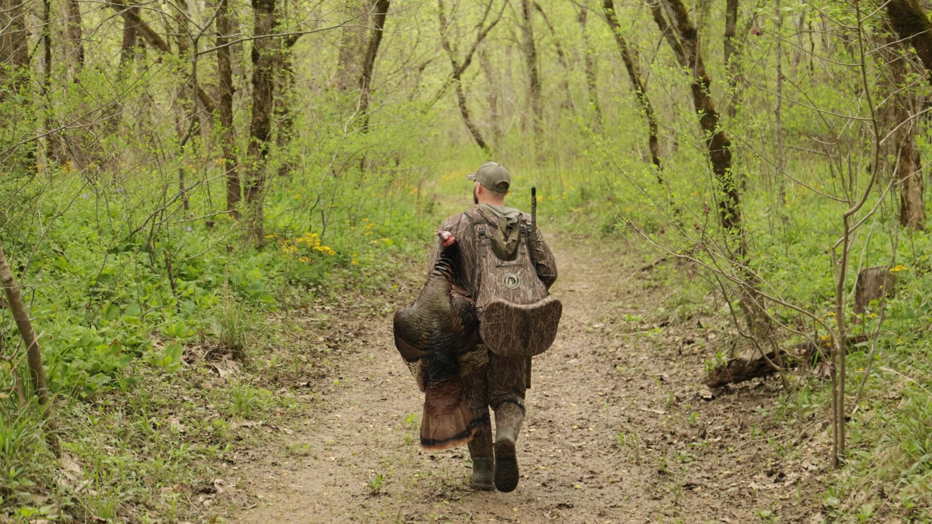 Forests and Flocks: Supporting State Constitutional Rights to Hunt and ...